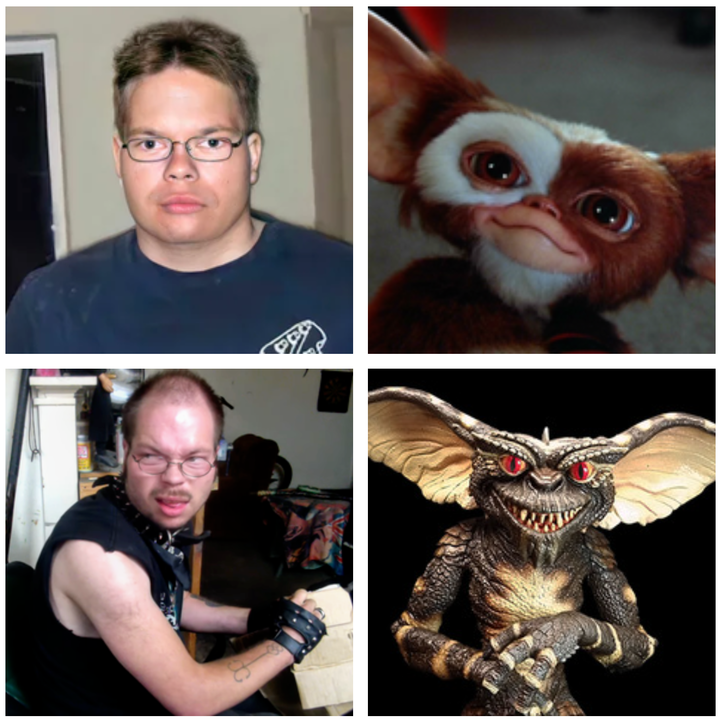 Dont feed boglims after midnight | Scrolller