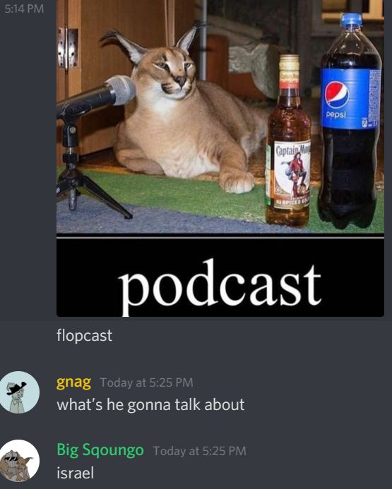 Don't say anything you'll regret, floppa | Scrolller