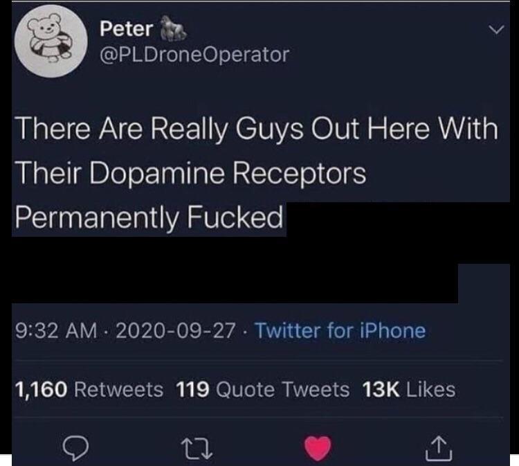 Dopamine rule | Scrolller