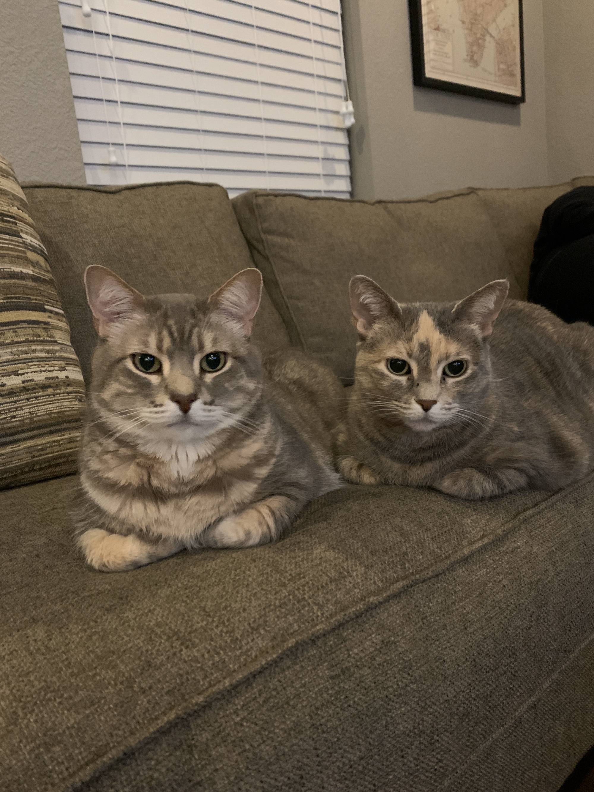 Double curled feetsies | Scrolller