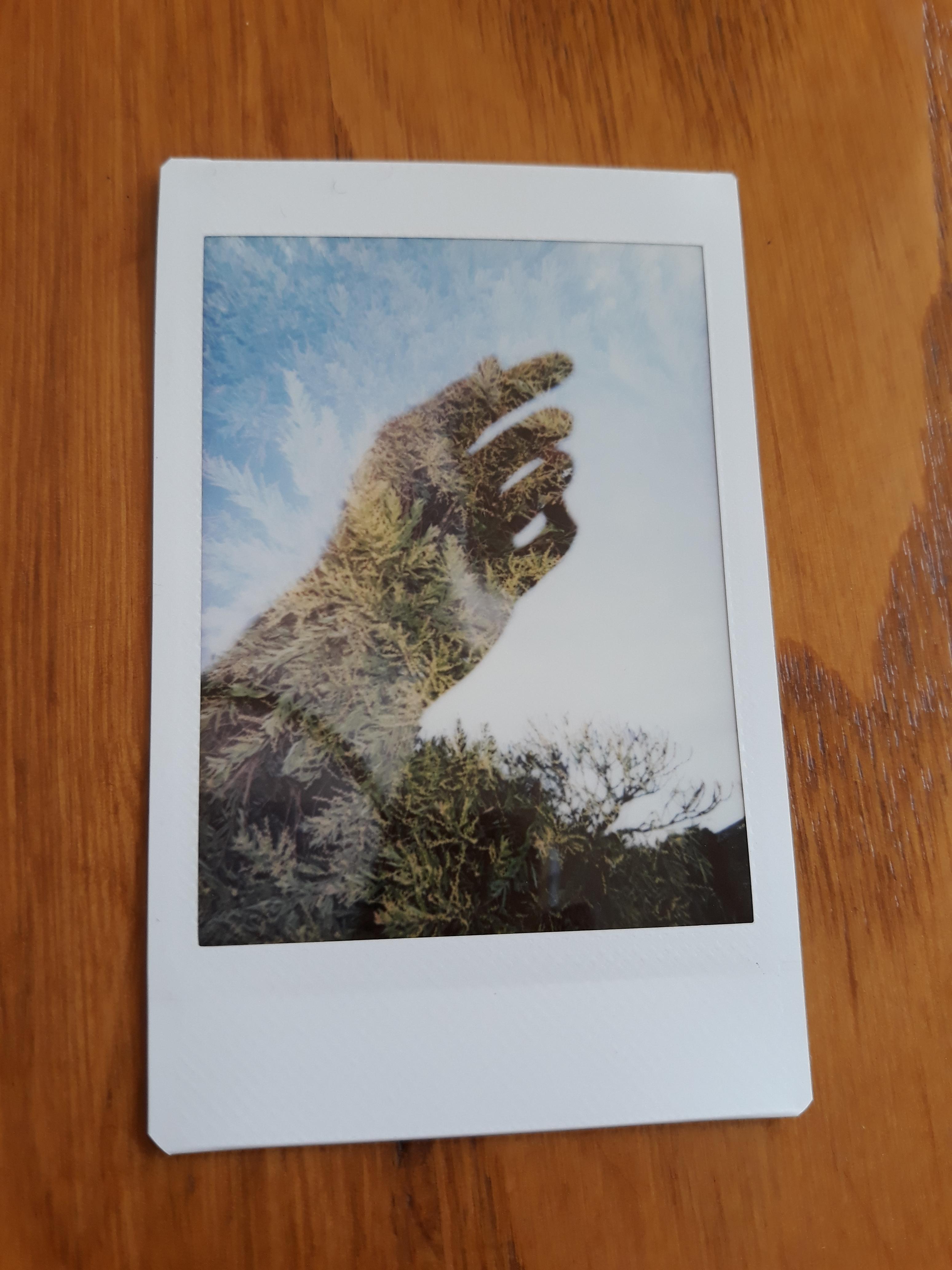 Double exposure [Instax mini 90] | Scrolller