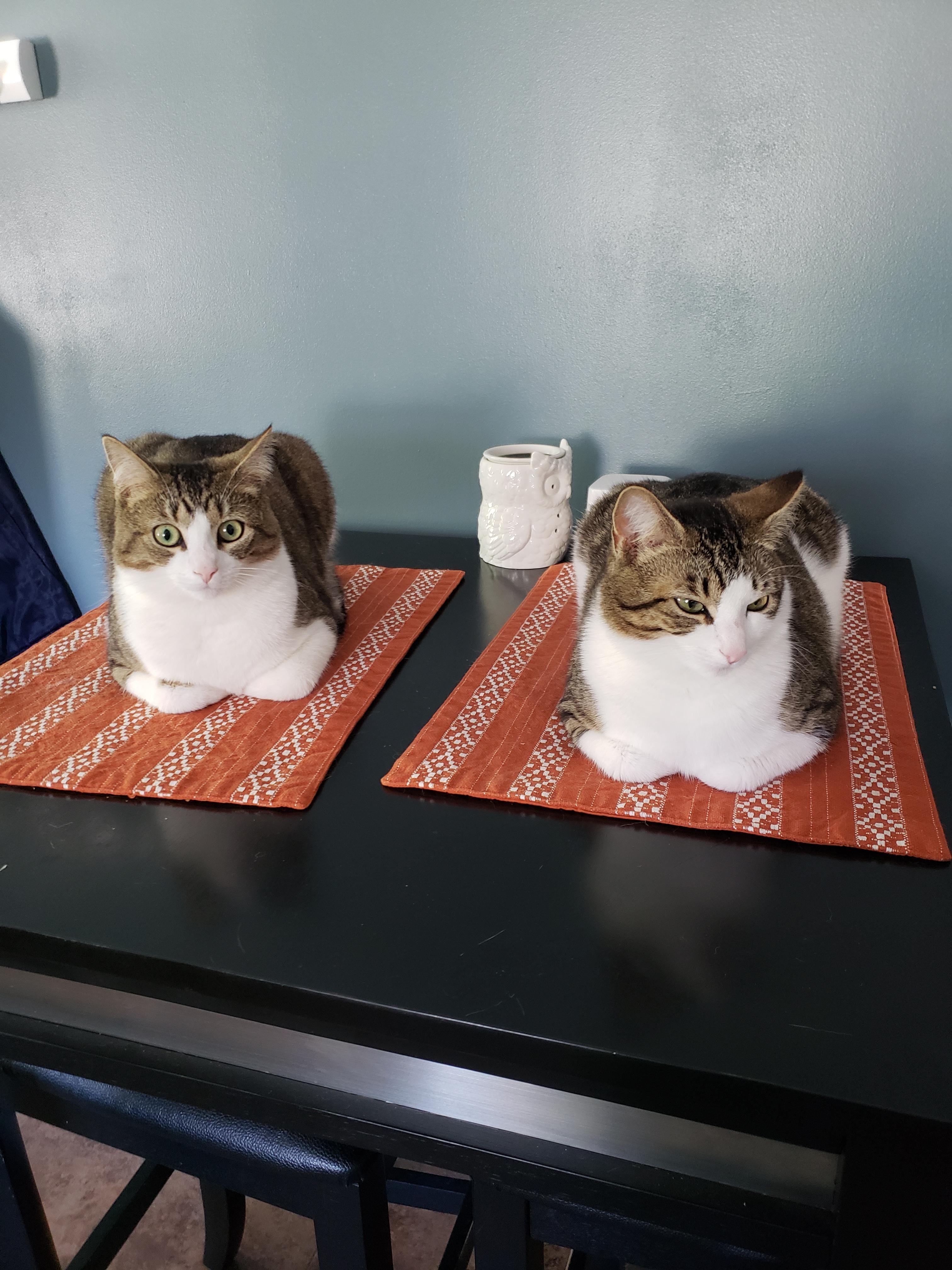 Double Loaf! | Scrolller