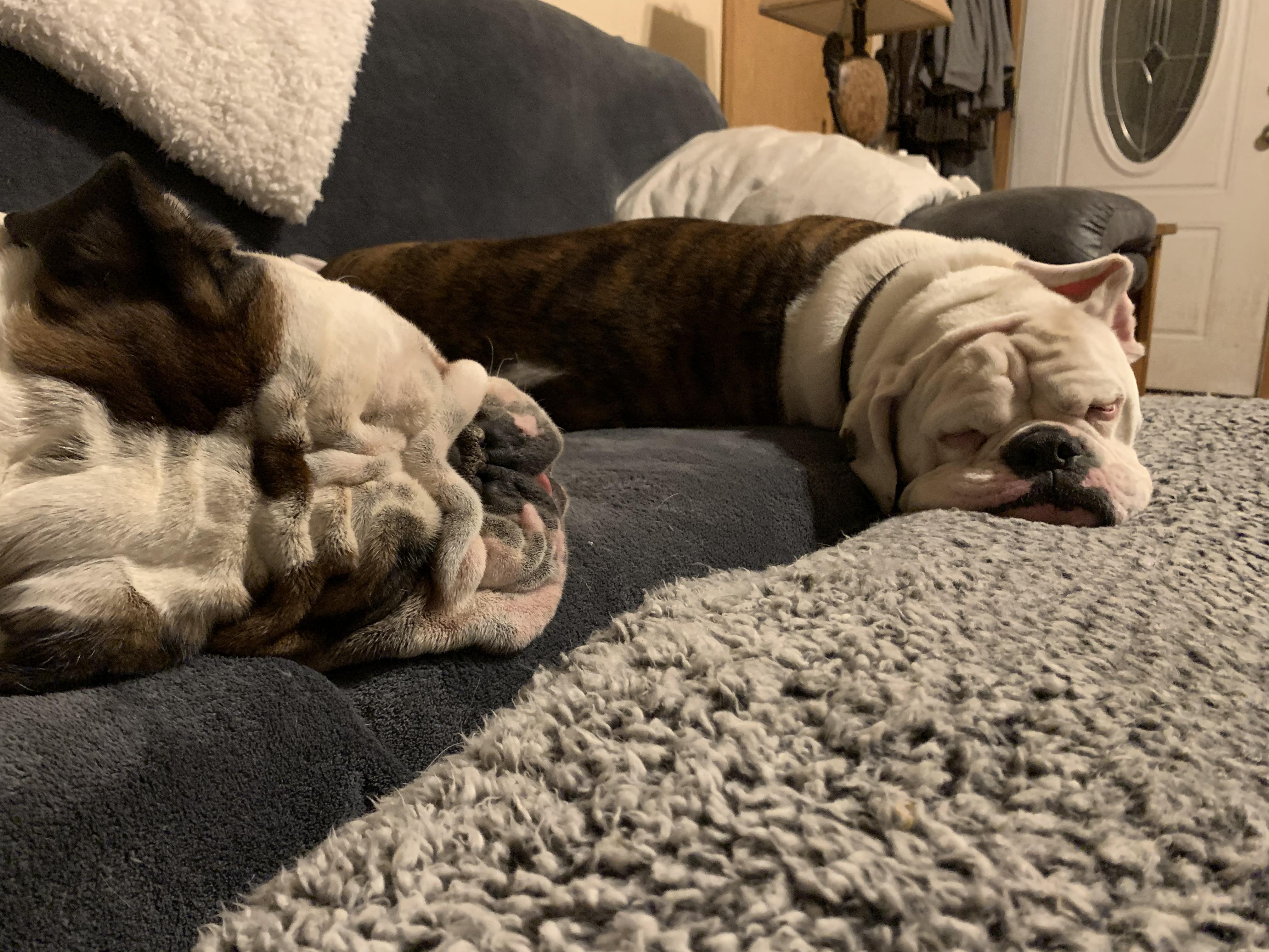 Double squishy! | Scrolller