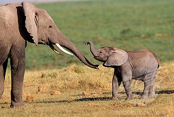 "Down low" | Scrolller