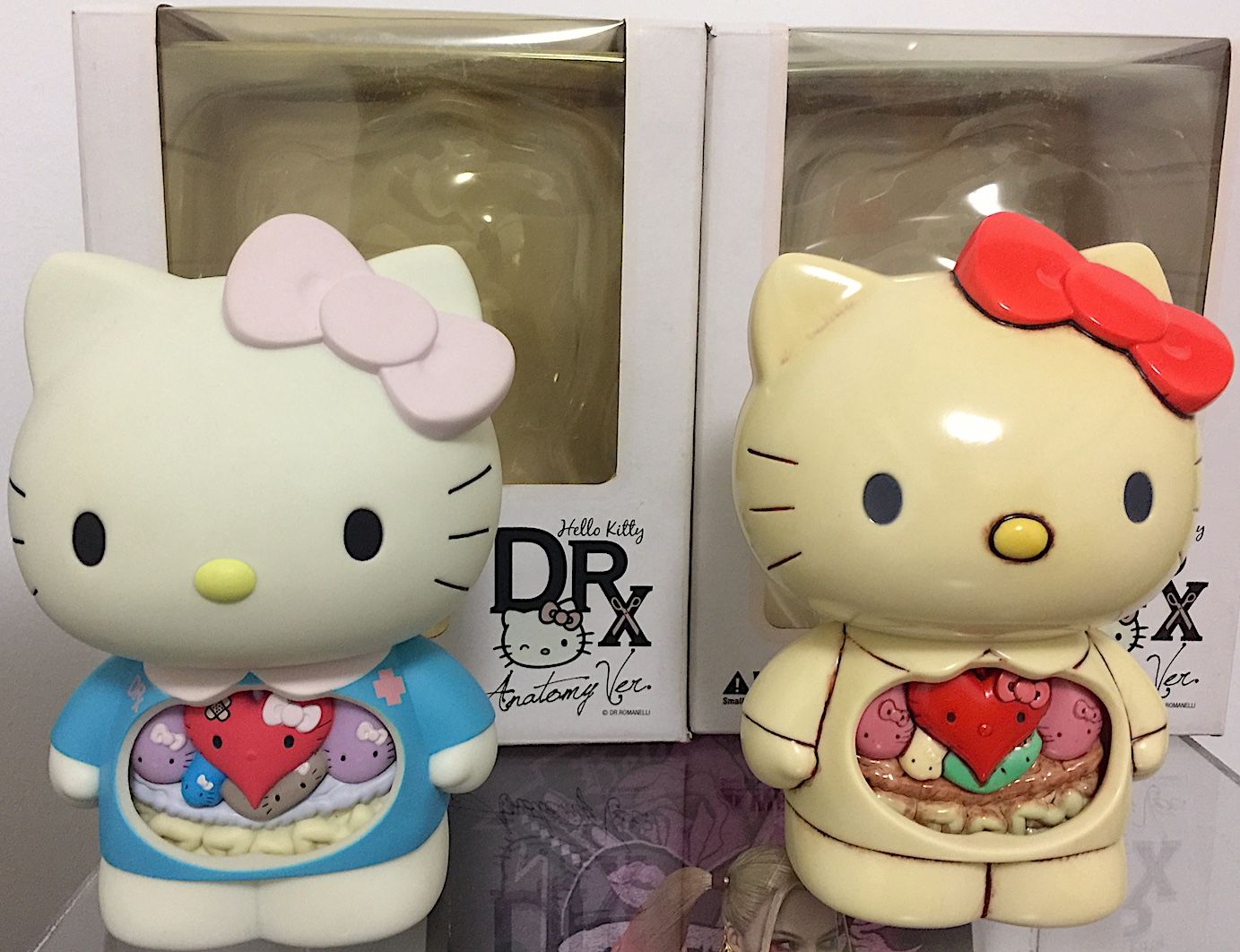 Dr. Romanelli x Hello Kitty Anatomy | Scrolller