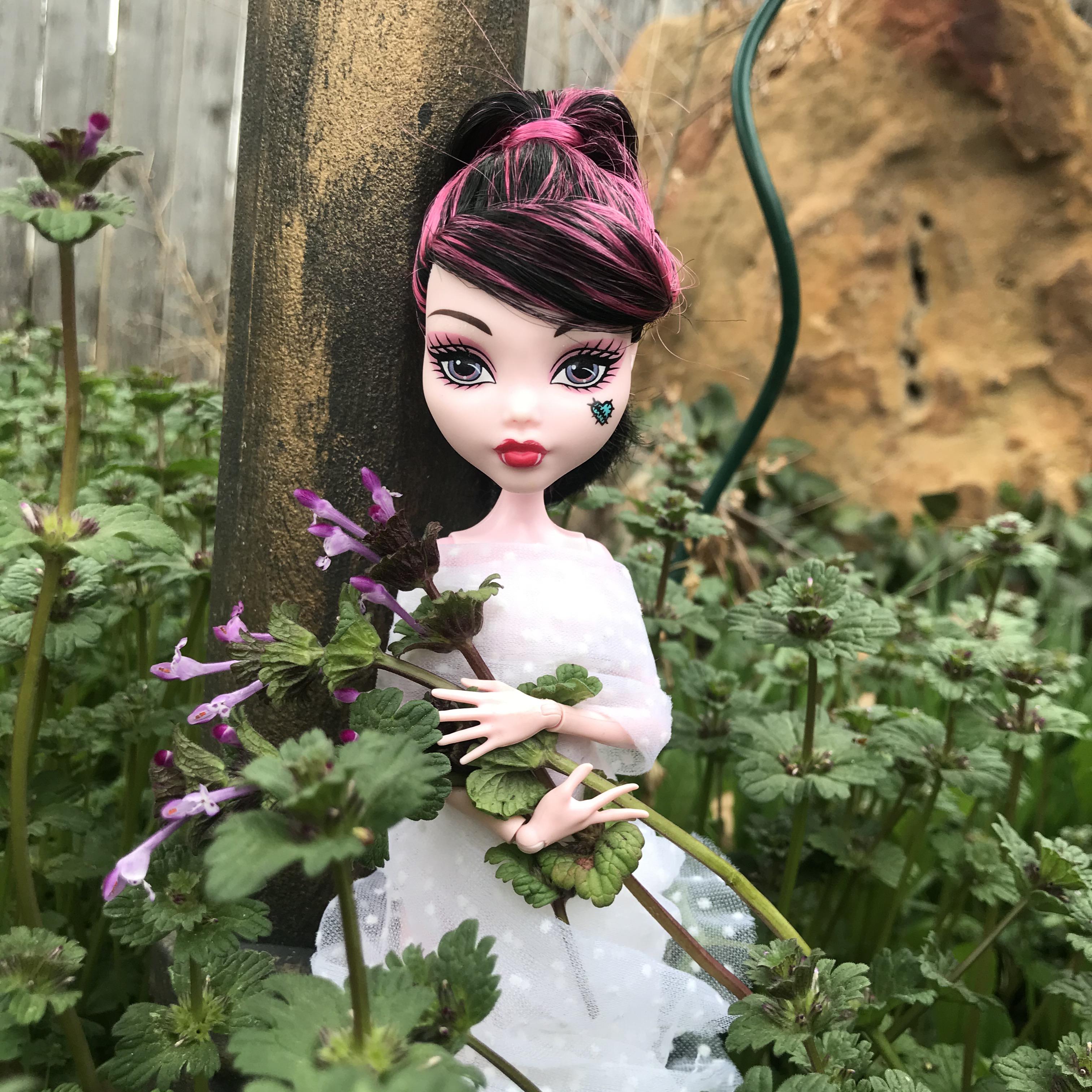 Draculaura...in weeds | Scrolller