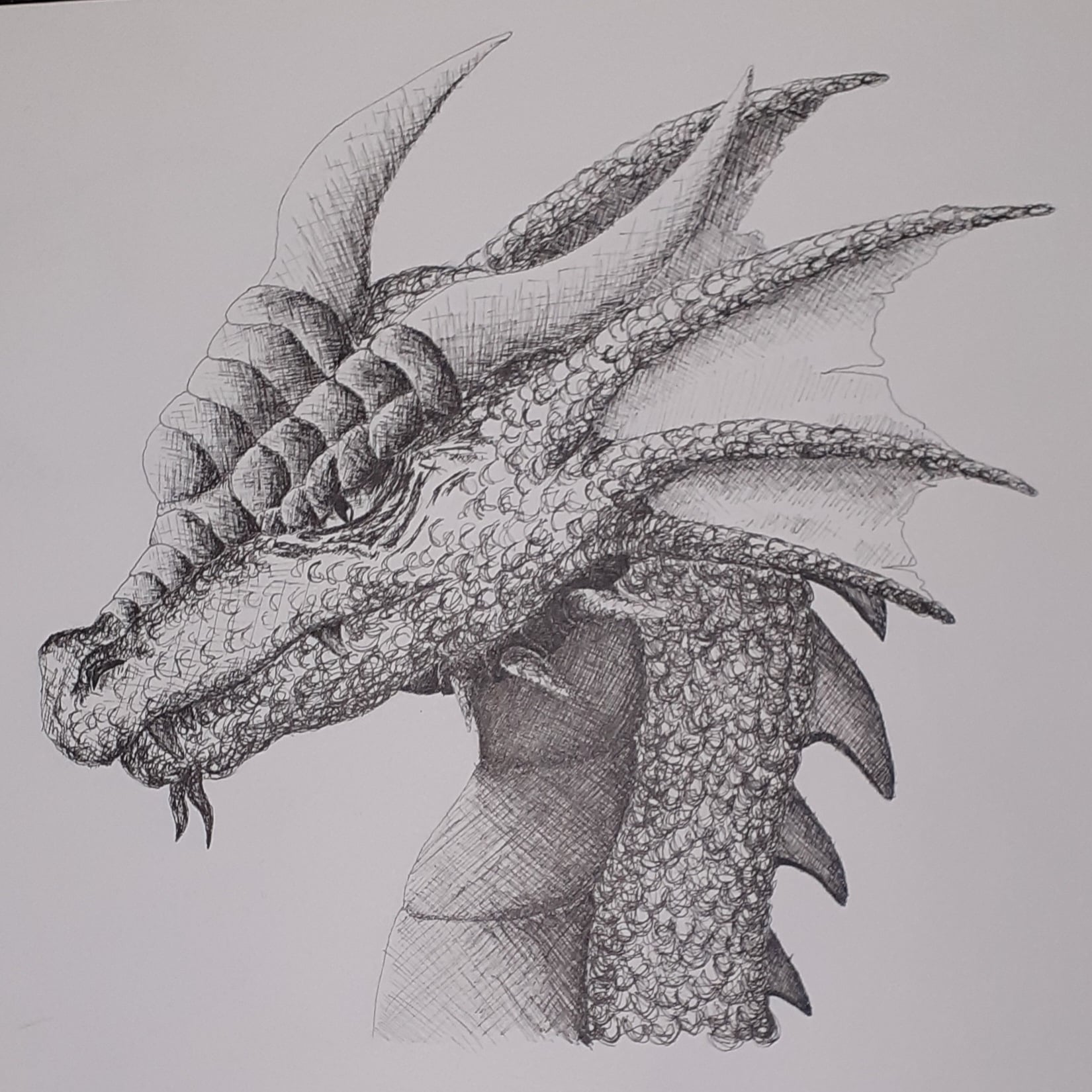 Dragon, Me, Fineliner, 2021 | Scrolller