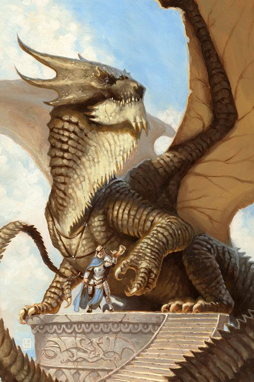 Dragon Rider by Alex Stone | Scrolller