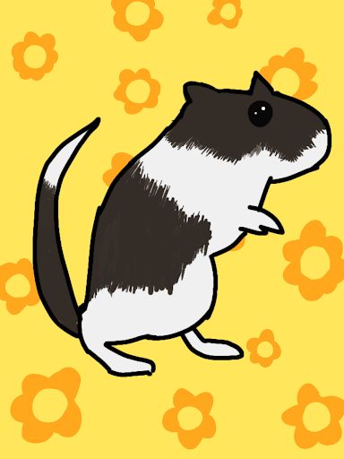 Drawing of my gerbil, Nova, I made! | Scrolller