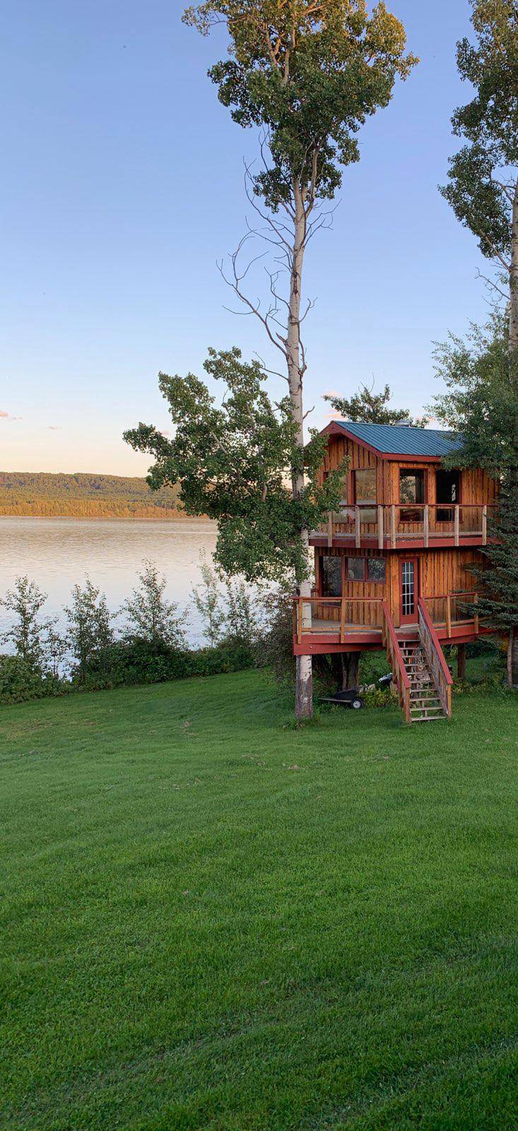 Dream treehouse my friend built for his kids. | Scrolller