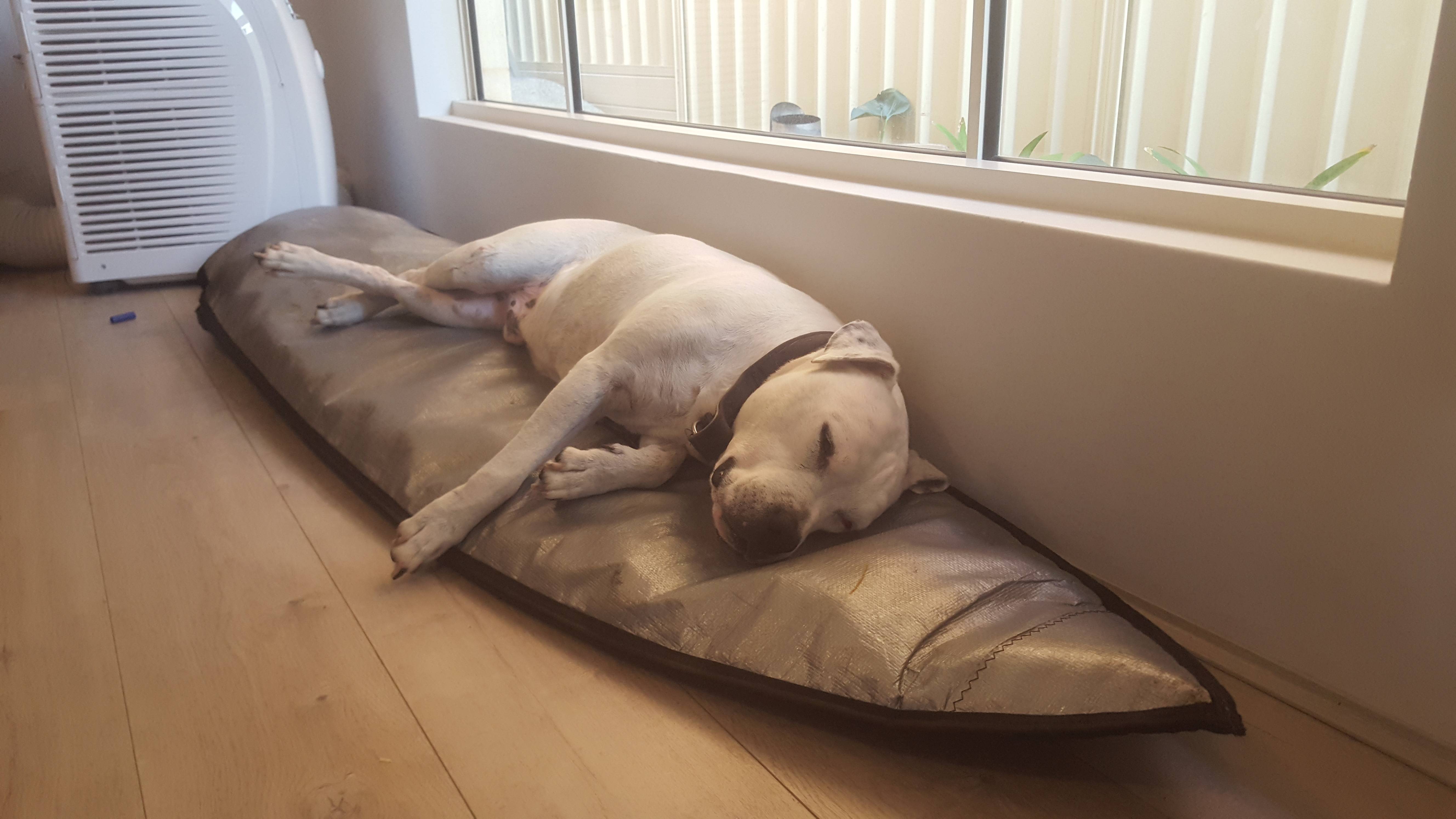 Dreaming of that perfect wave | Scrolller