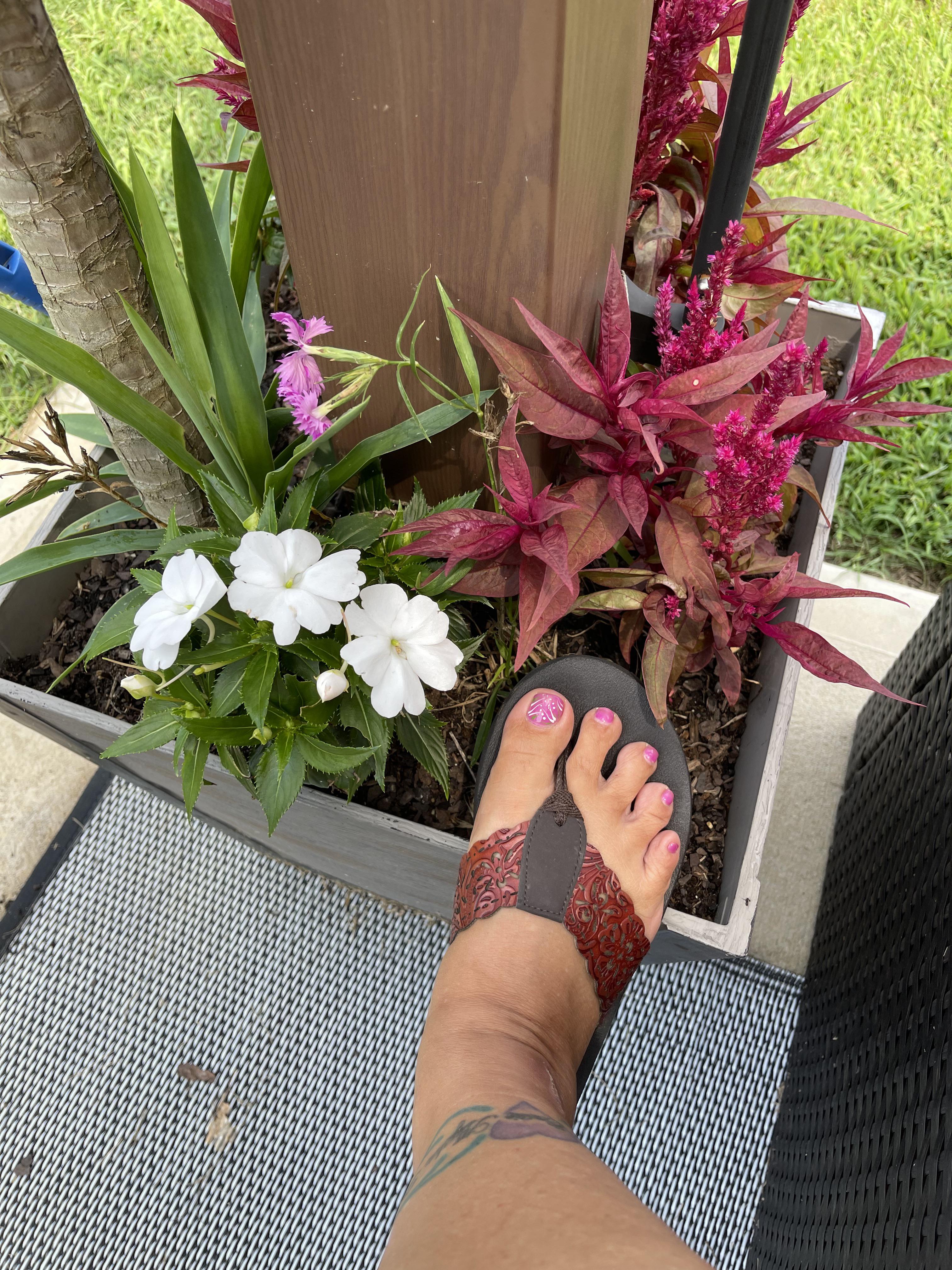 Dressing up the plants | Scrolller