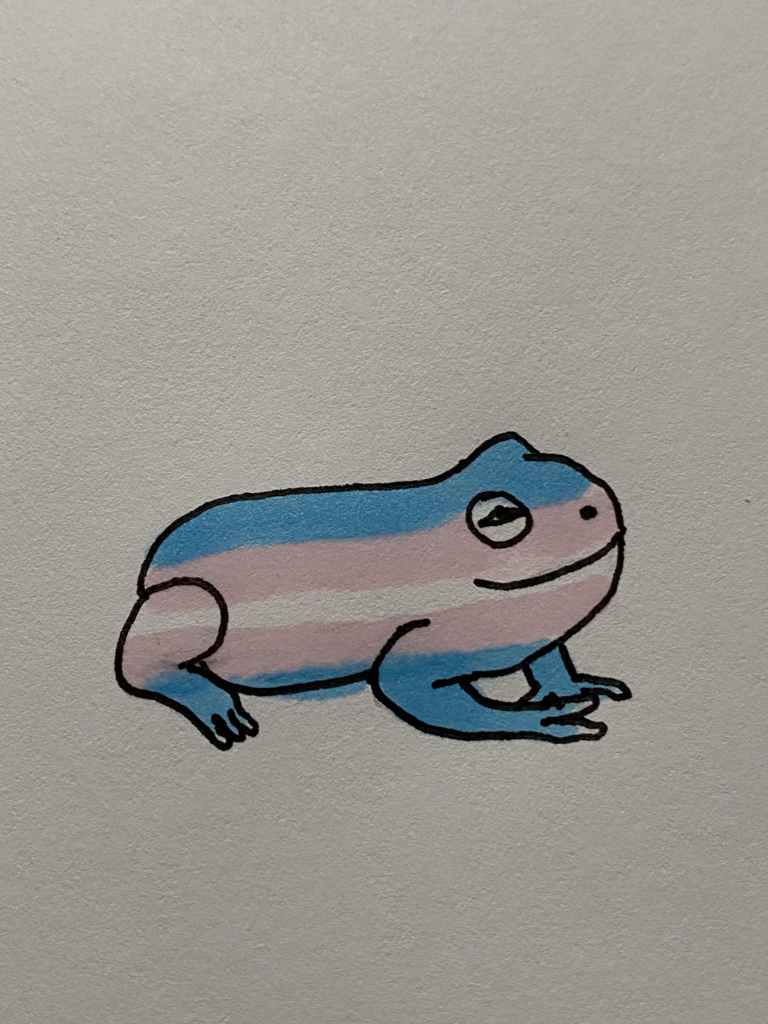 Drew a trans flag frog 🐸 🏳️‍⚧️ | Scrolller