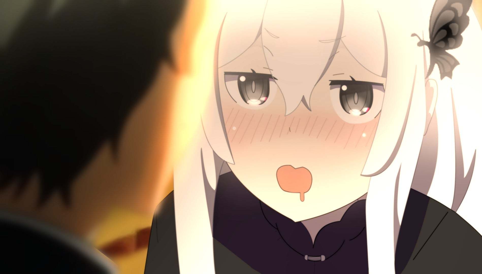 Drunk echidna | Scrolller