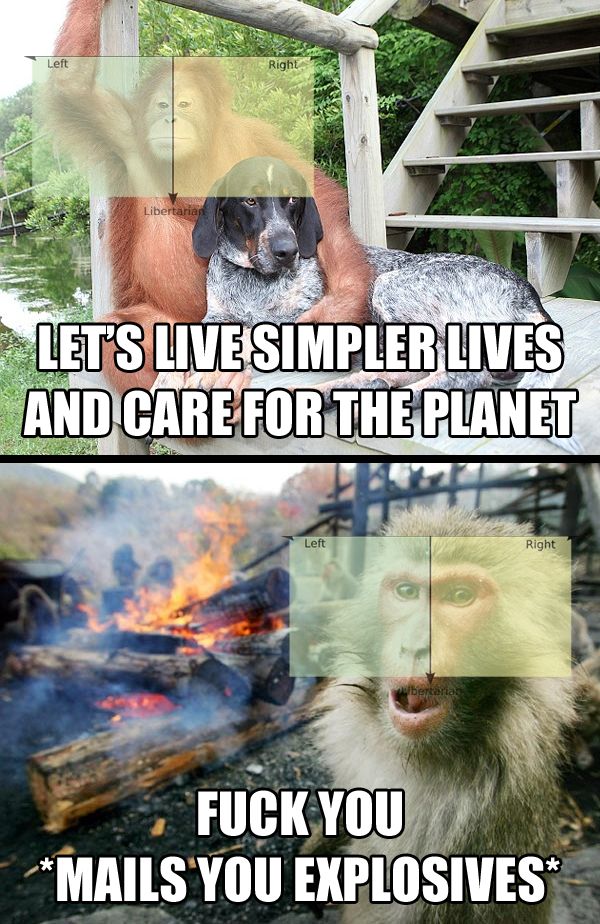 Duality of Monke | Scrolller