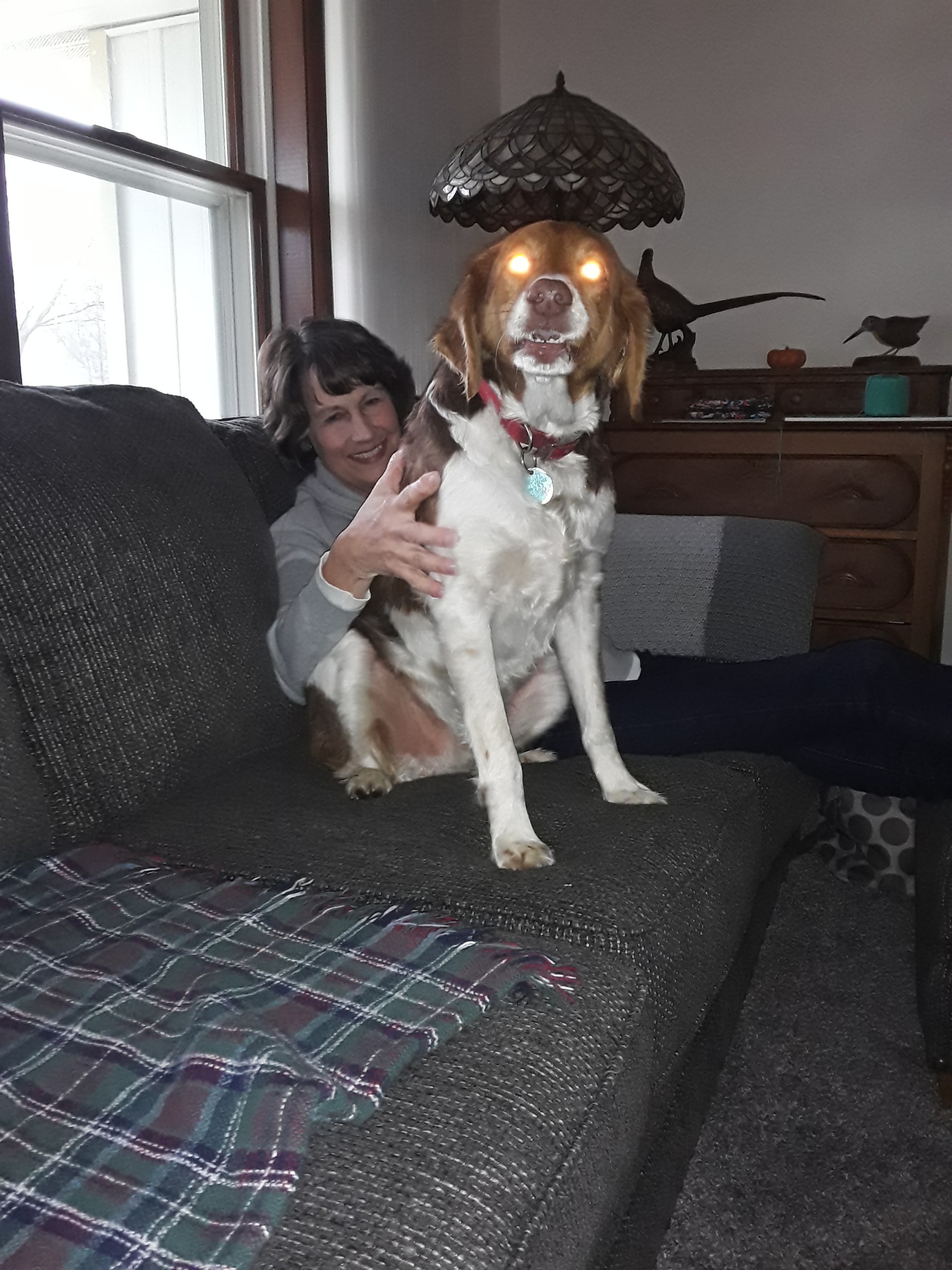 Duff guarding my mom | Scrolller