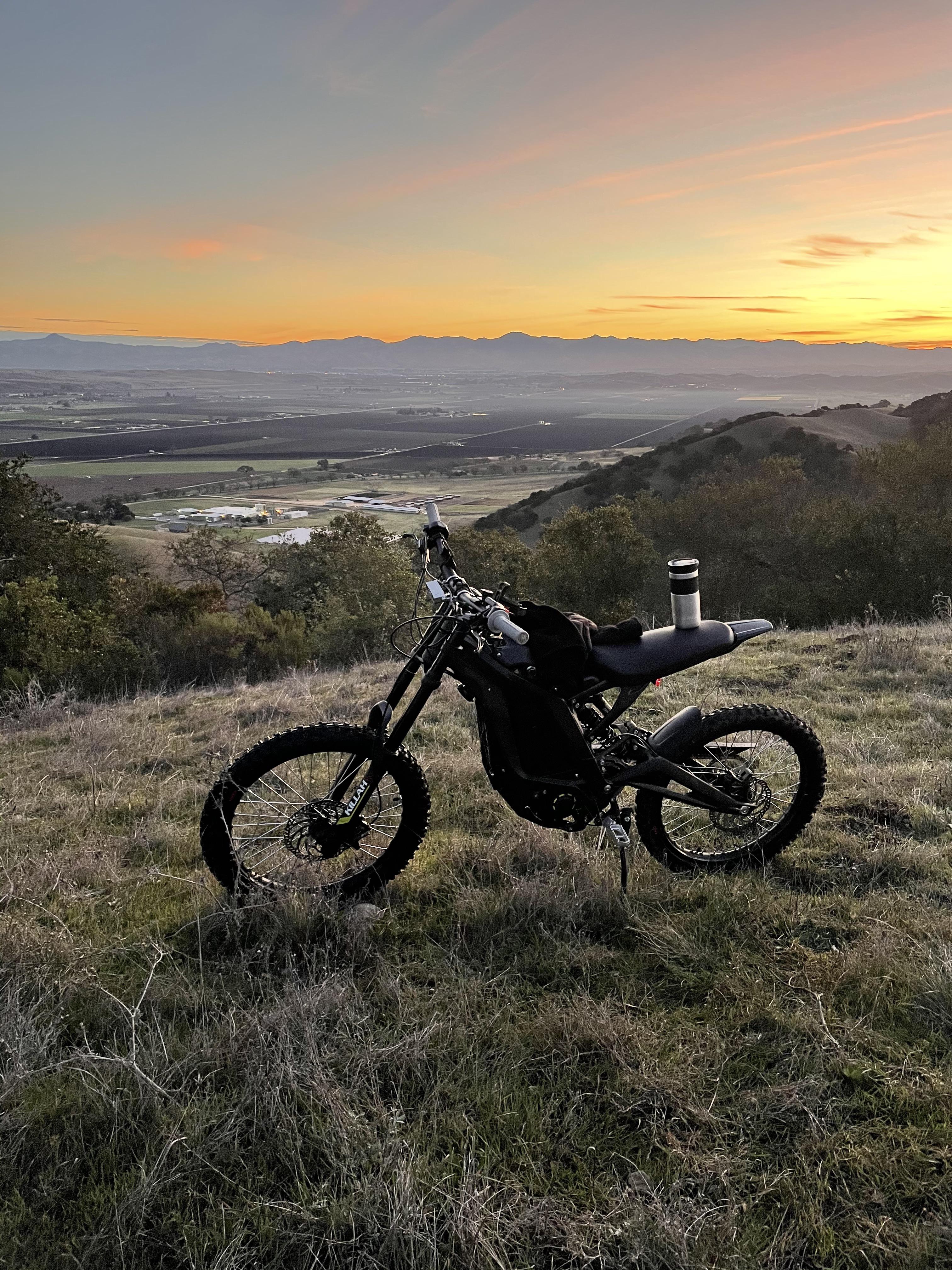 Early bird gets the worm | Scrolller