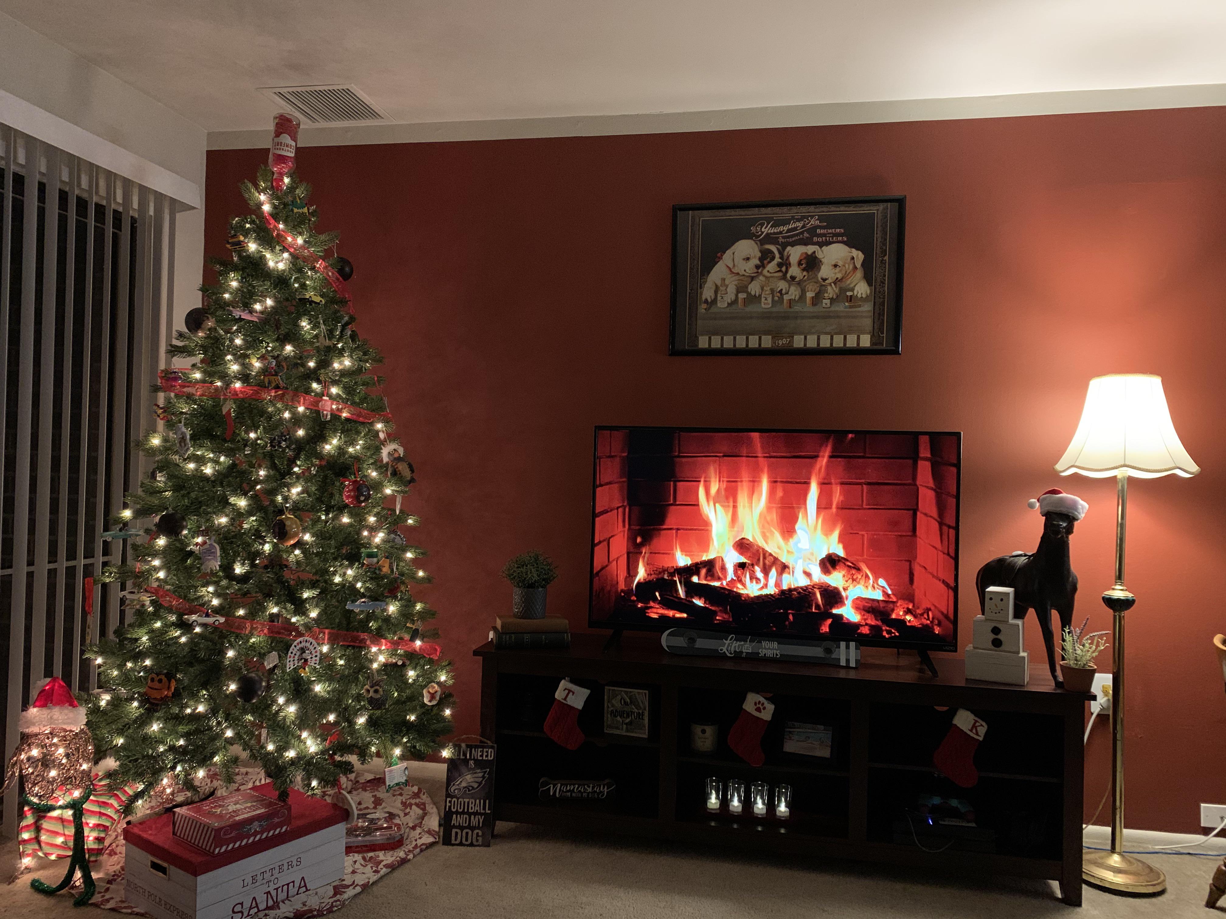 Early decorating in Philly. | Scrolller