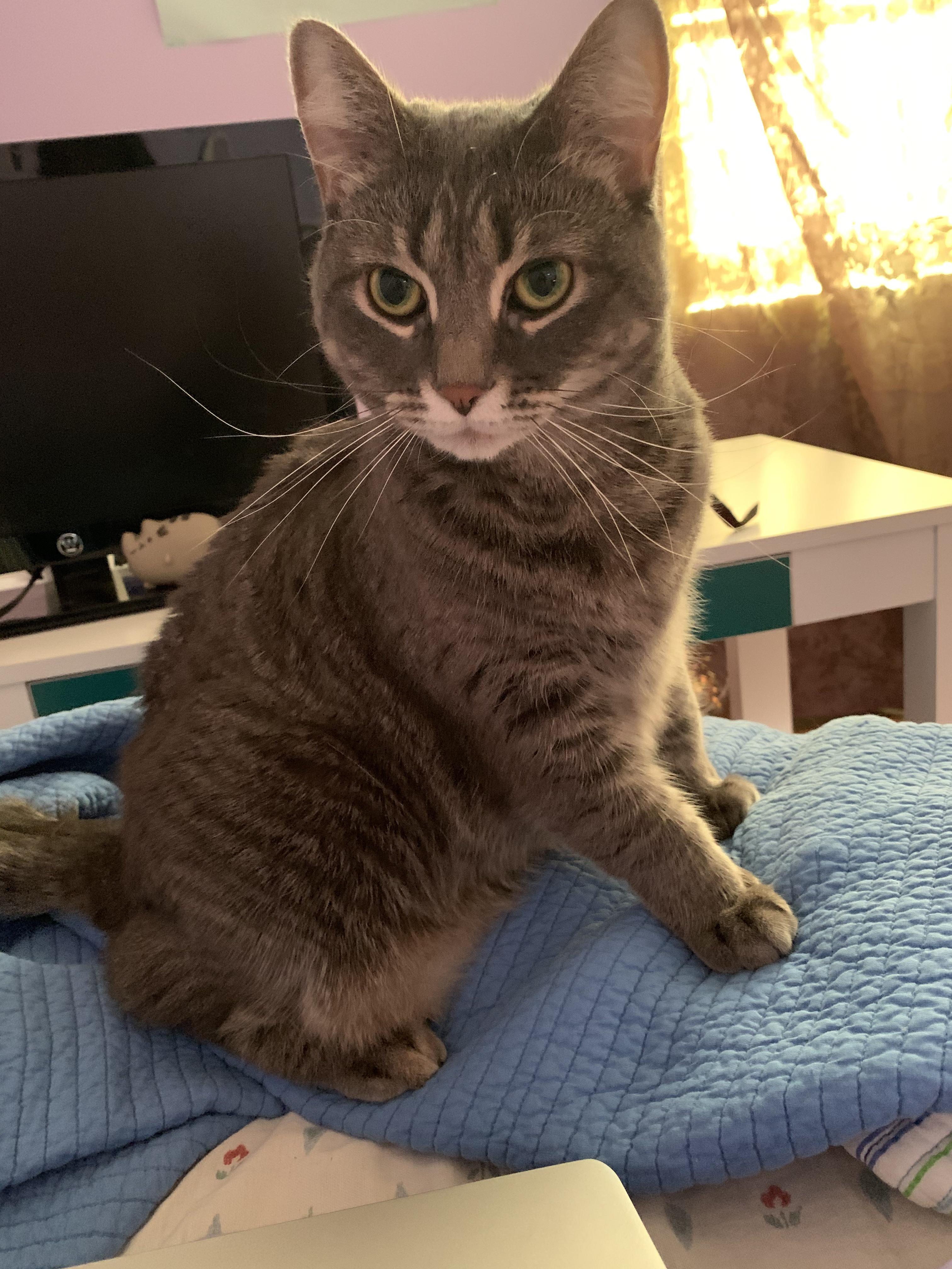 Eavesdropping on my tele-therapy appointment | Scrolller