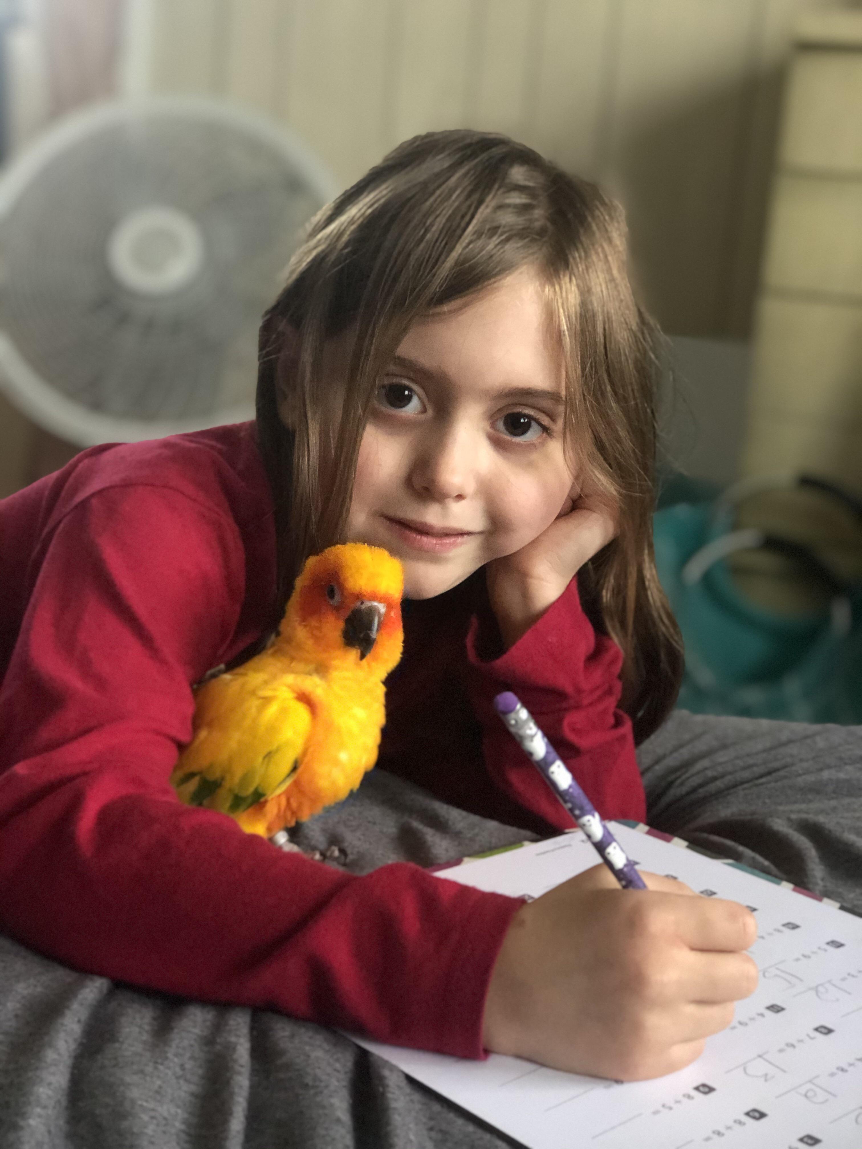 Echo is helping with math homework. | Scrolller