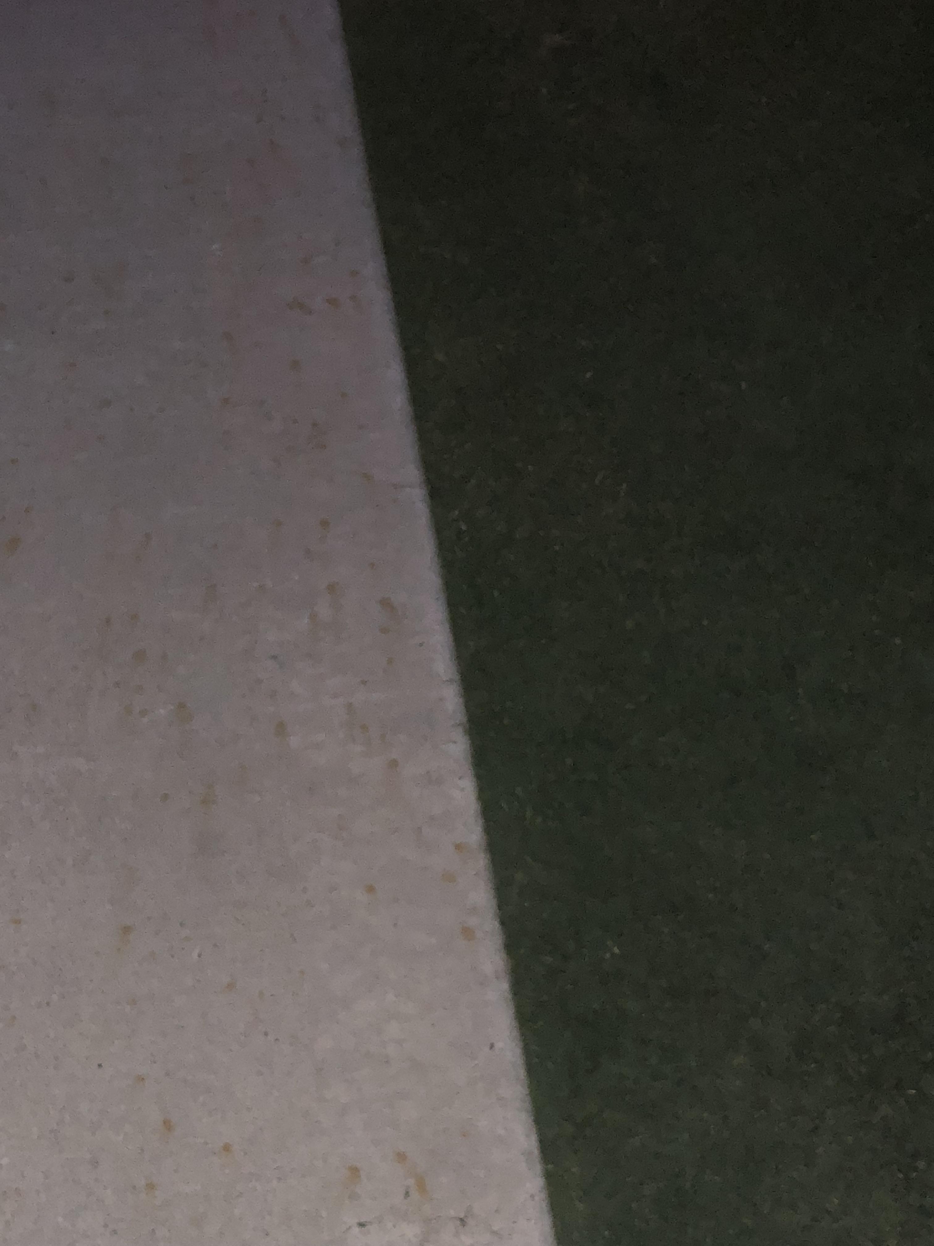 Edging after dark!! | Scrolller