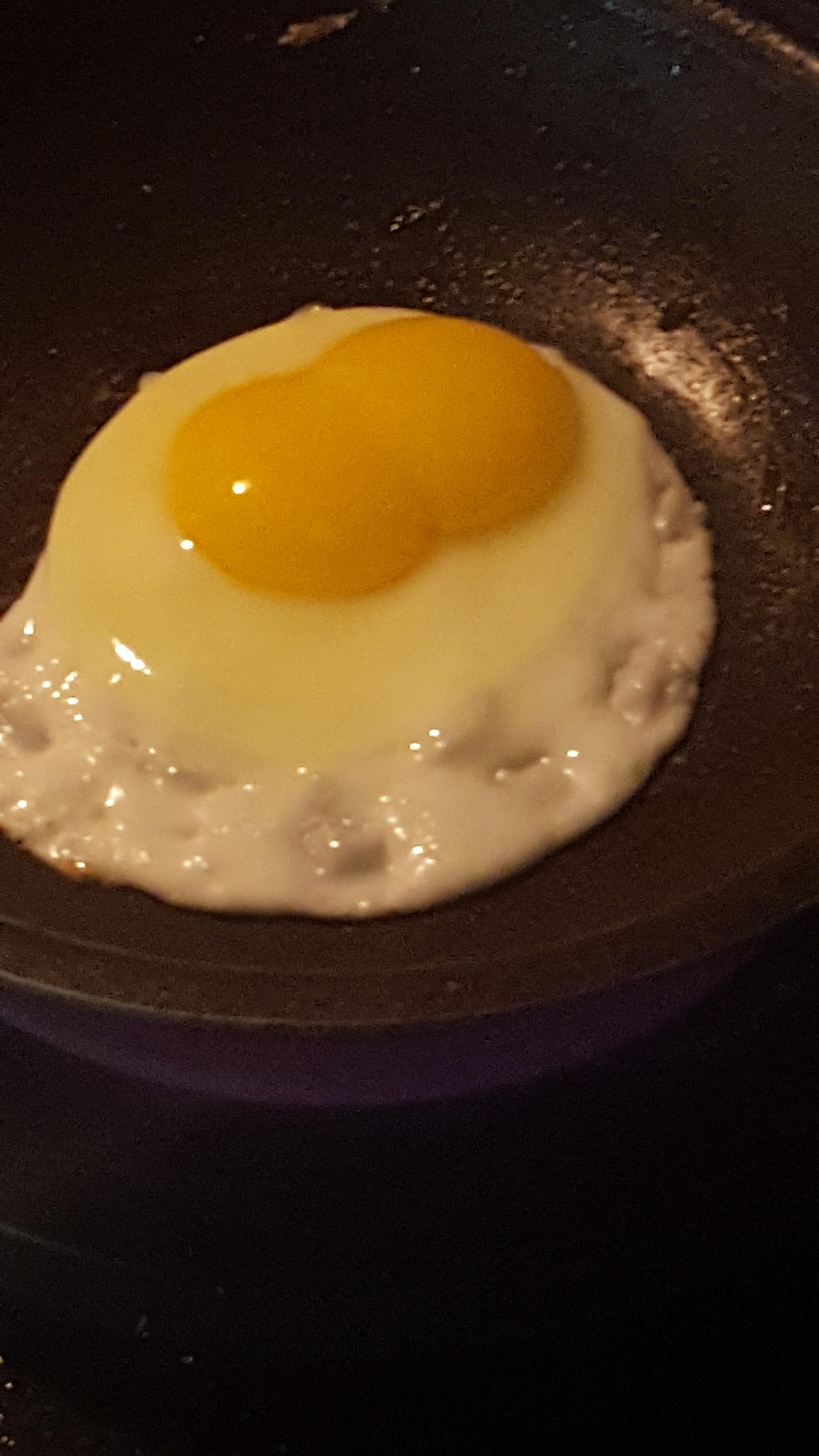 Eggs for bob :) | Scrolller