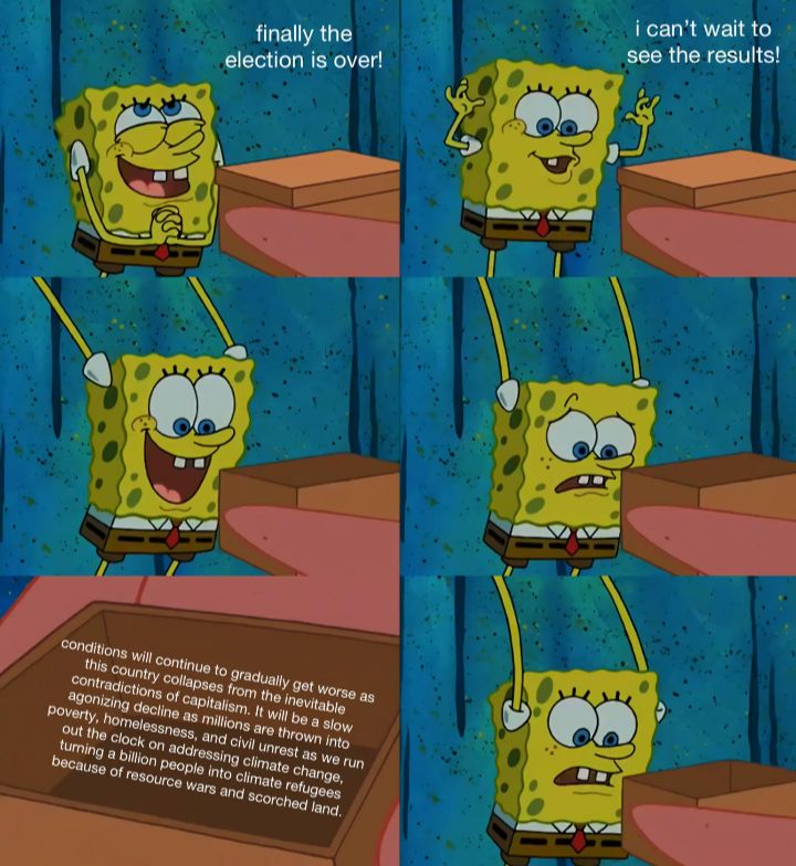 election | Scrolller