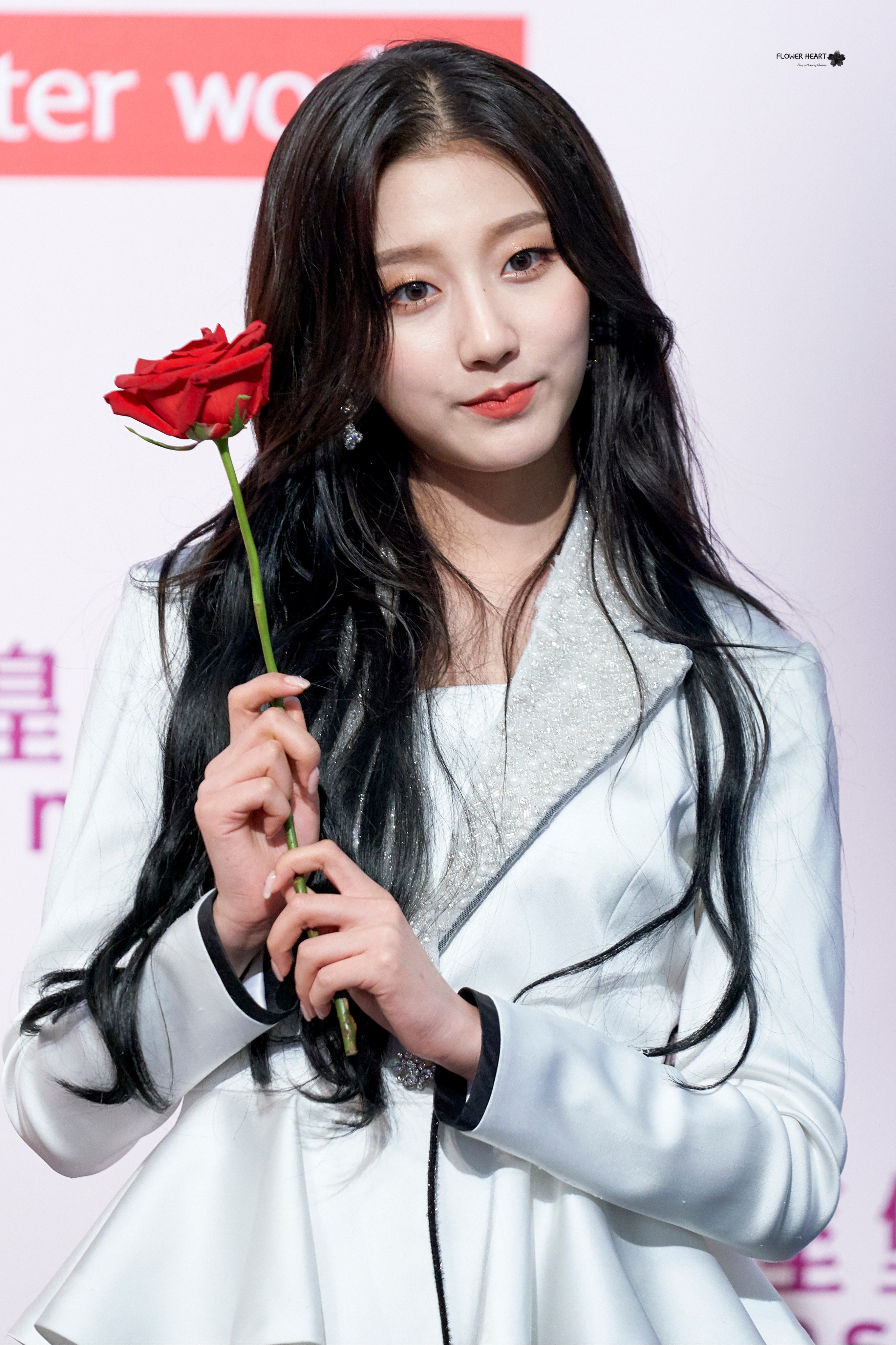 Elegant Yein | Scrolller