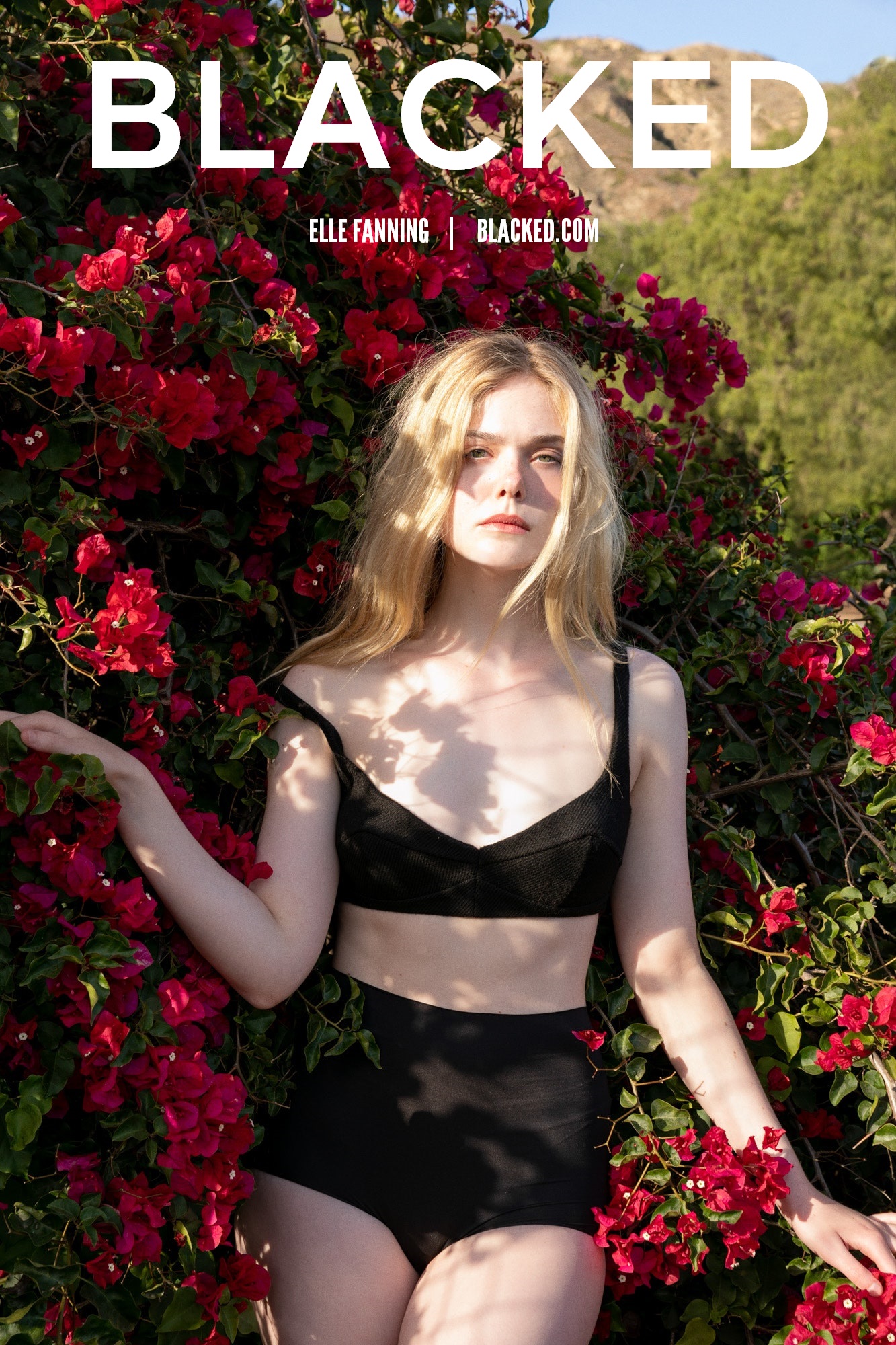 Elle Fanning for Blacked | Scrolller