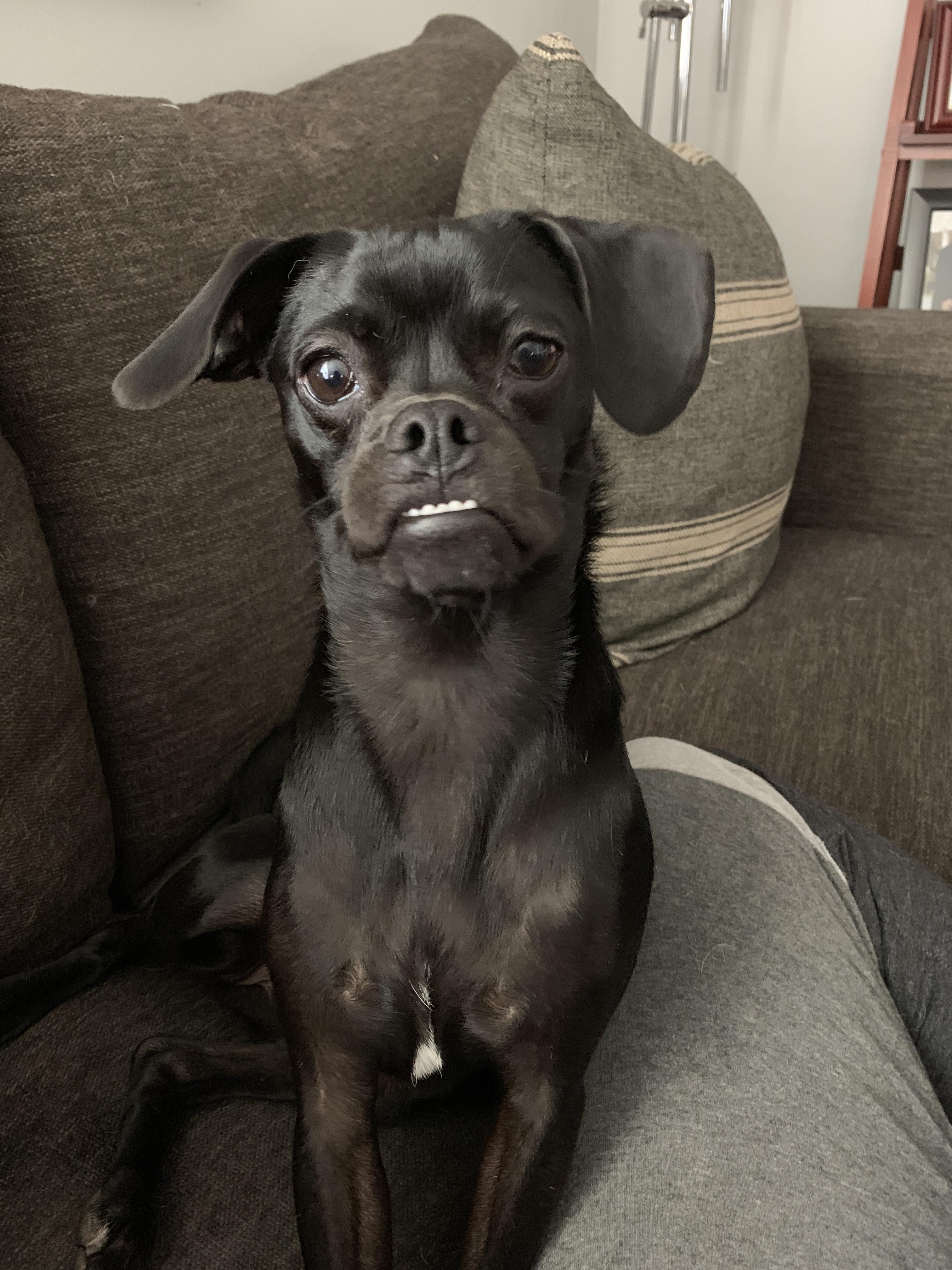 Ellie Mae Says Hello Scrolller
