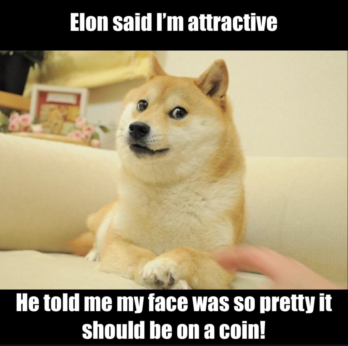 Elon flirting | Scrolller