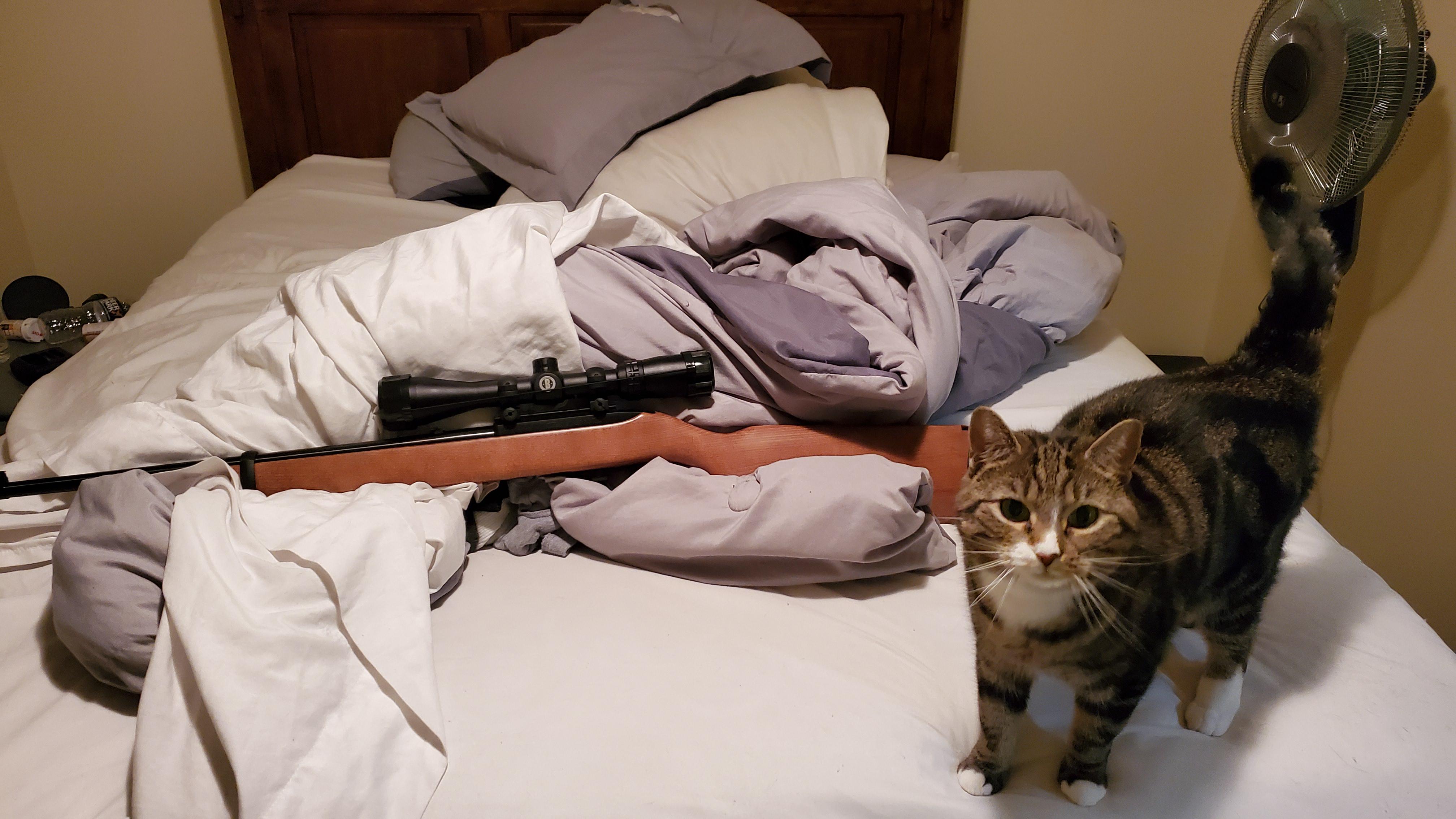 Elsa admiring my 10/22 | Scrolller