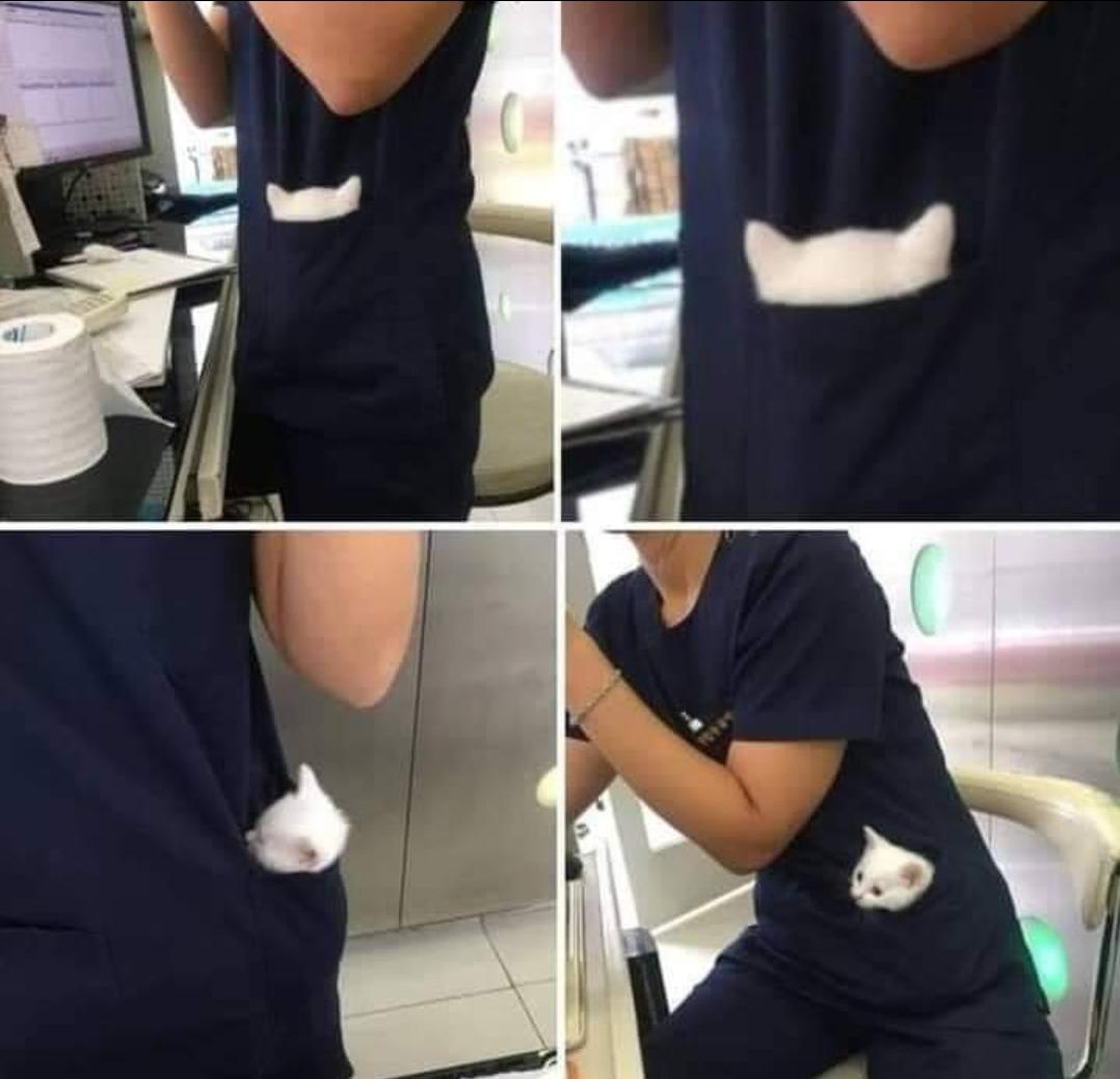 Emergency floof | Scrolller