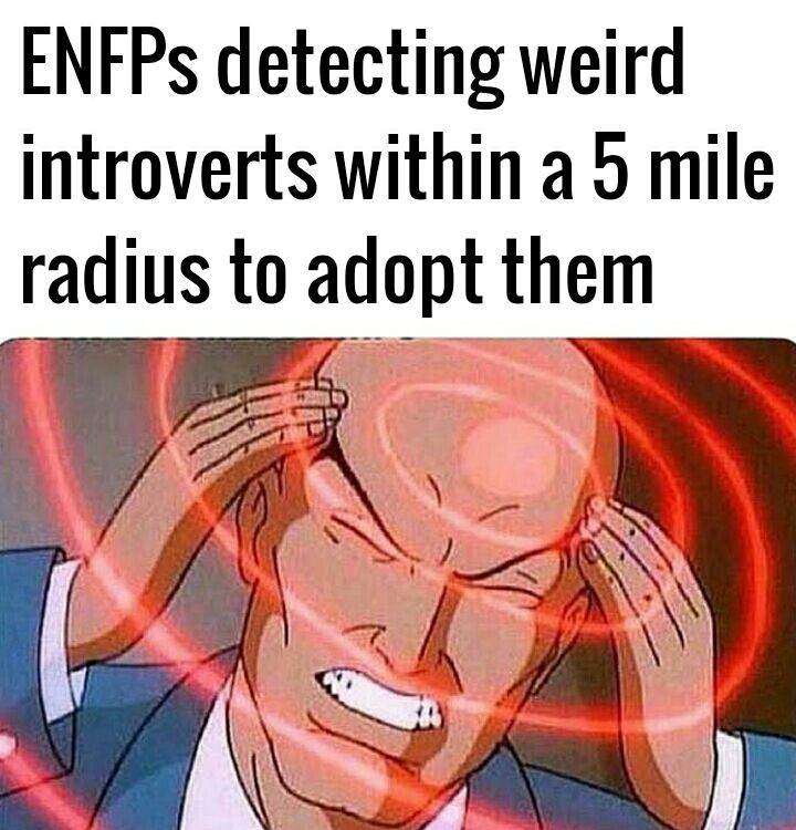 ENFPs and their radars | Scrolller