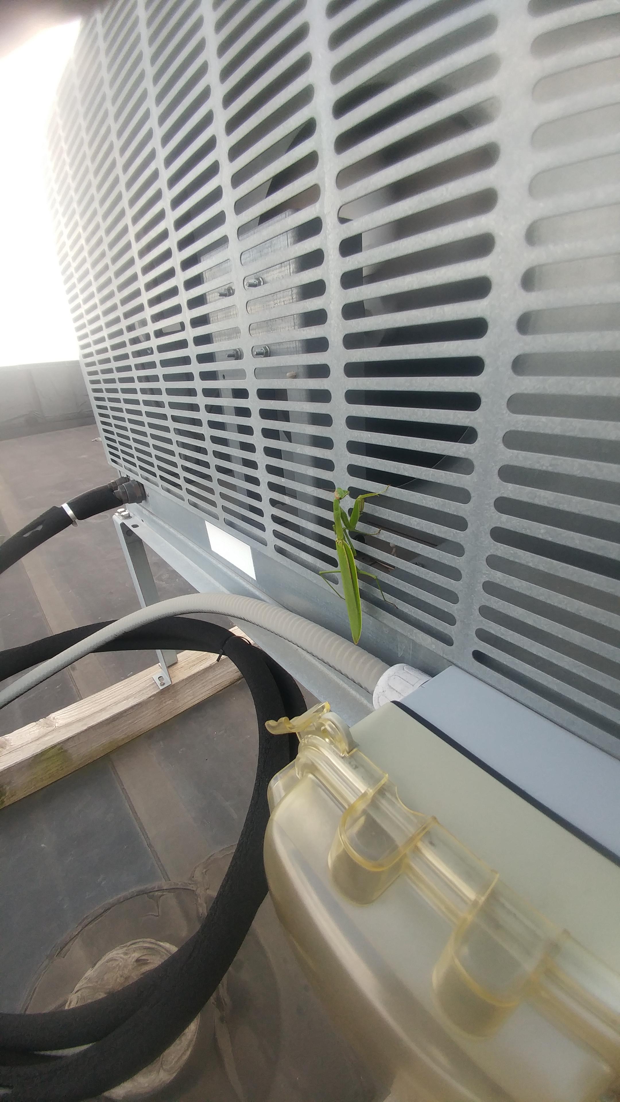 Enjoying the airflow | Scrolller