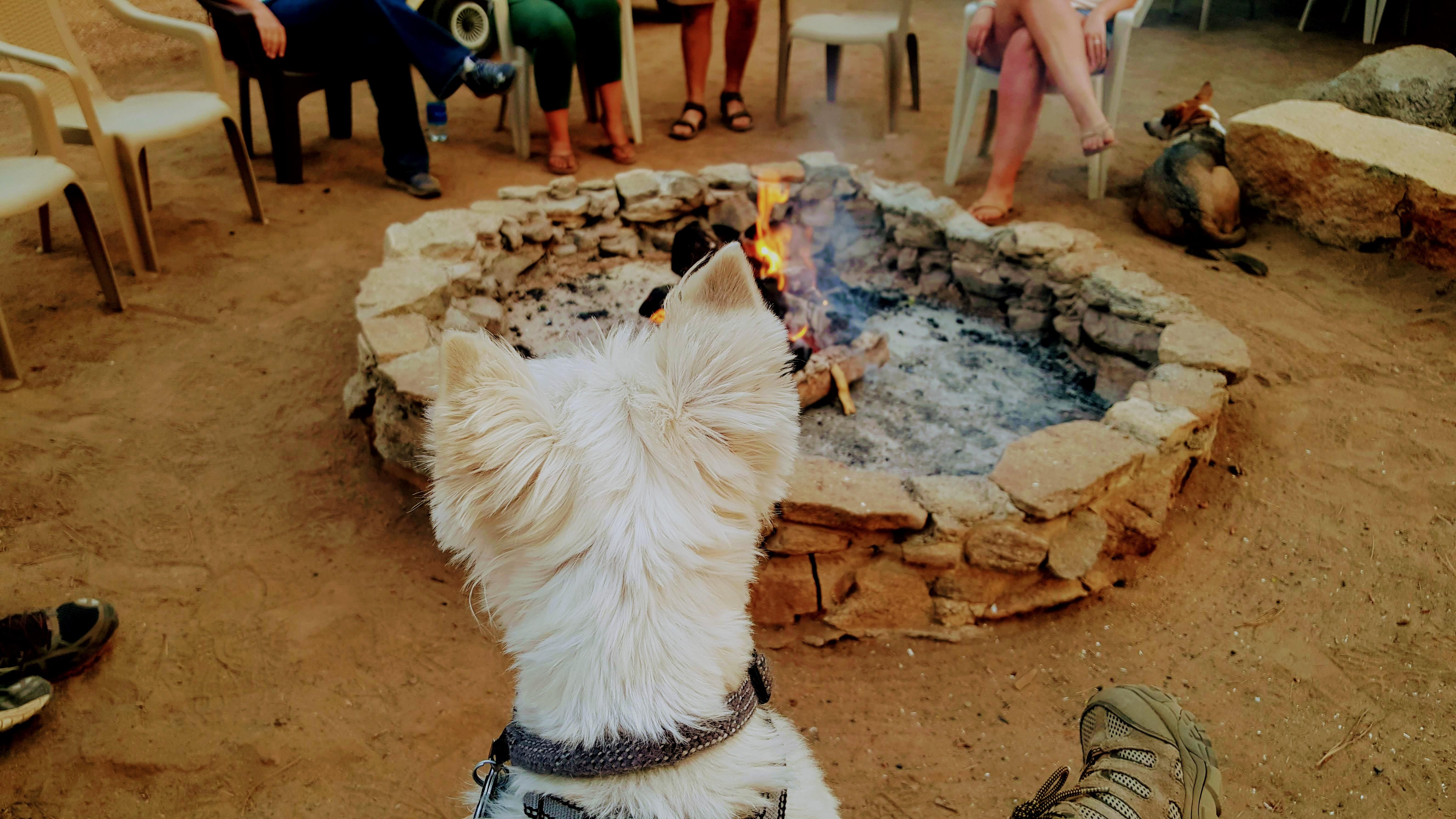 Enjoying the campfire | Scrolller