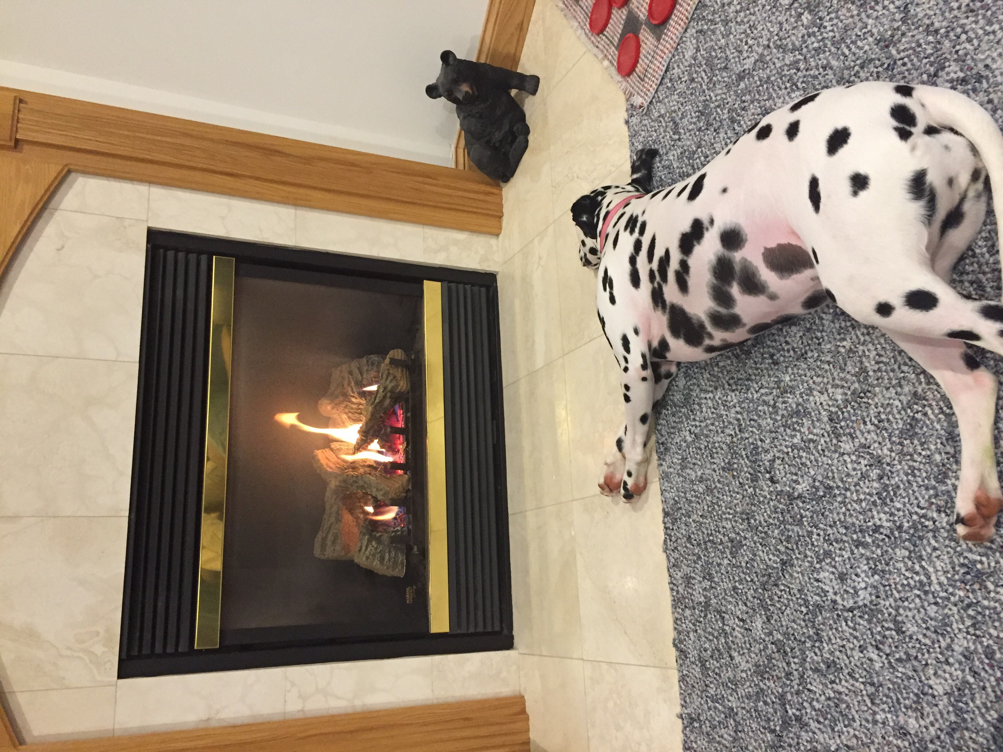 Enjoying the fireplace on this cold day! | Scrolller