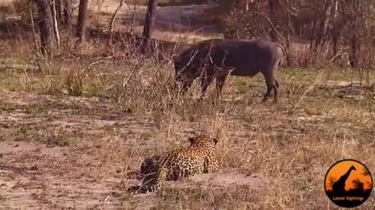 Epic fail | Scrolller