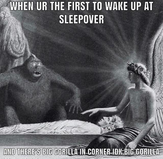 Epic Monke awakening | Scrolller