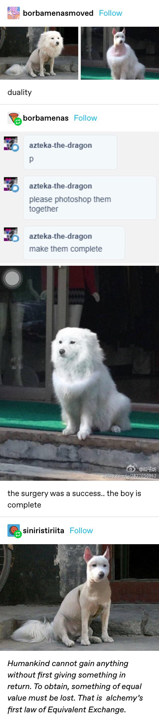 Equivalent Exchange | Scrolller