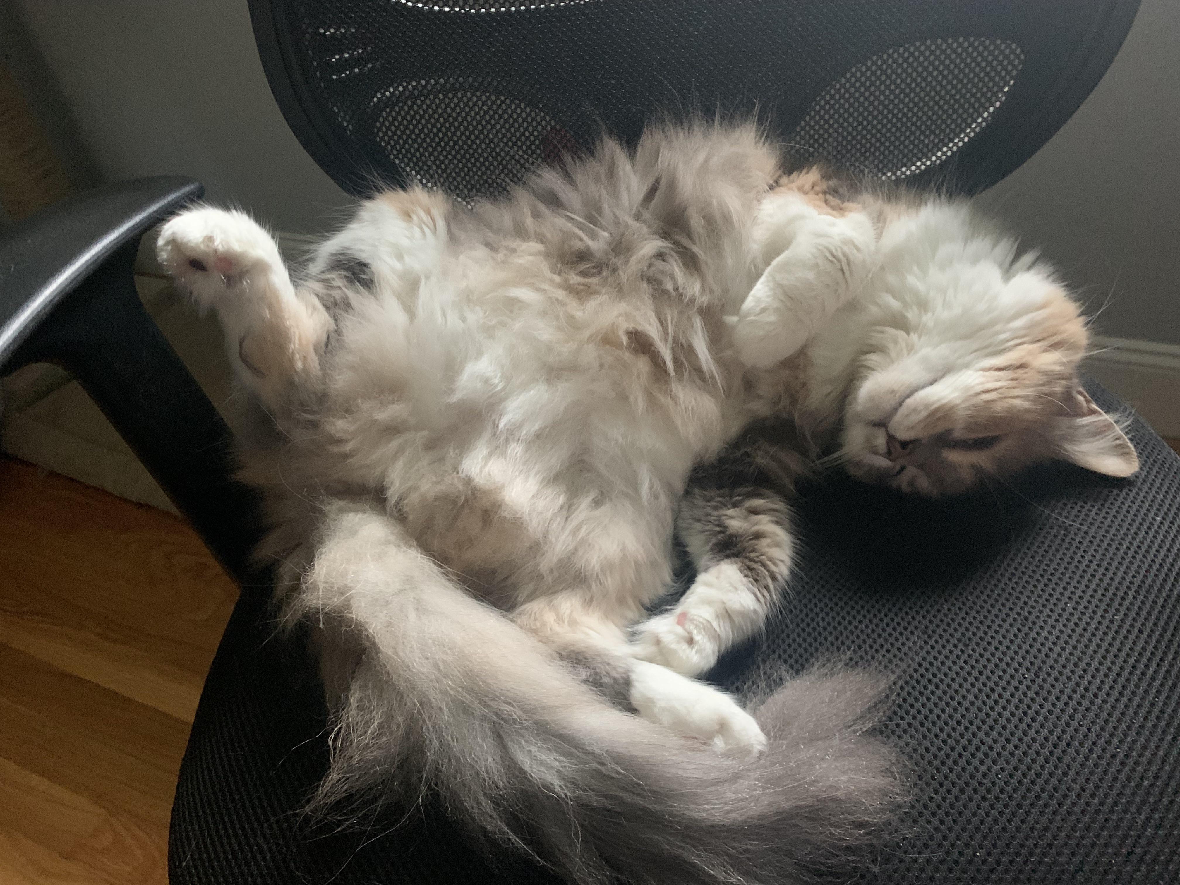 Ergonomics | Scrolller