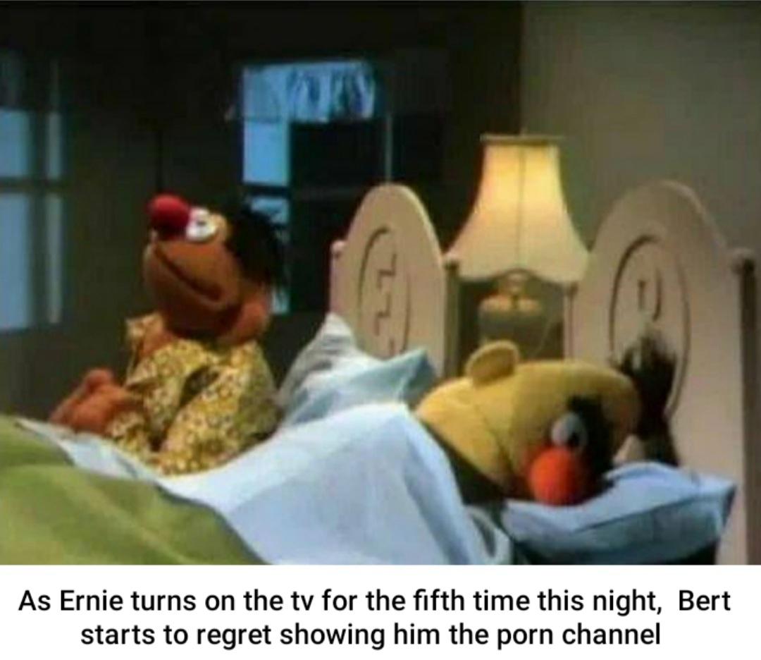 Ernie stop | Scrolller