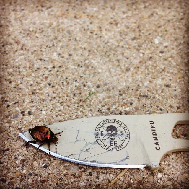 Esee Candiru. Wicked tough little fixed blade. Throughly used and abused. | Scrolller