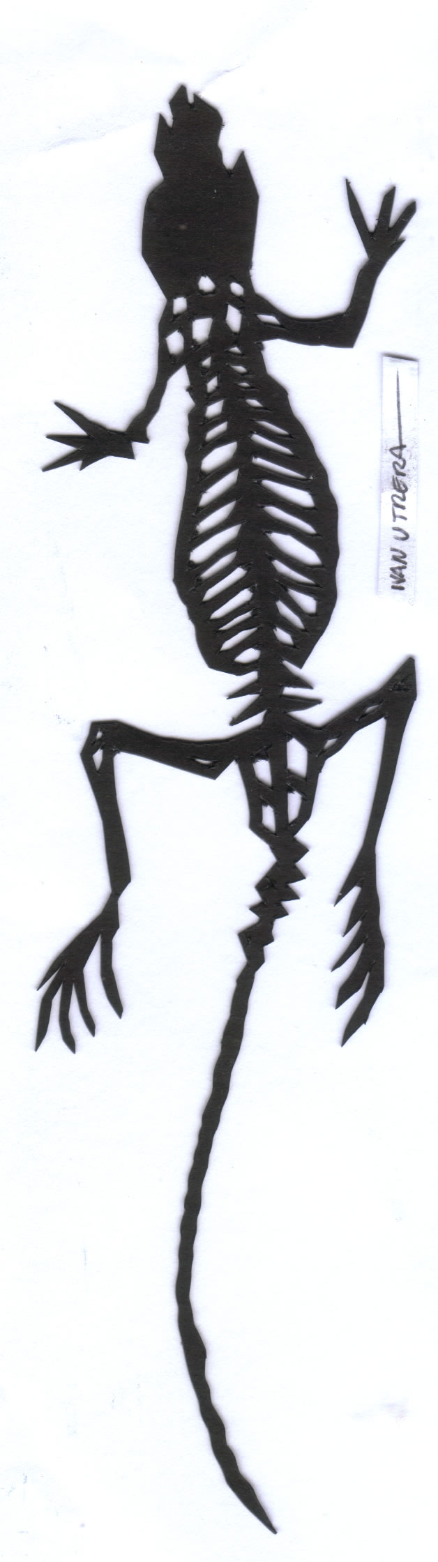 esqueleto paper cut | Scrolller
