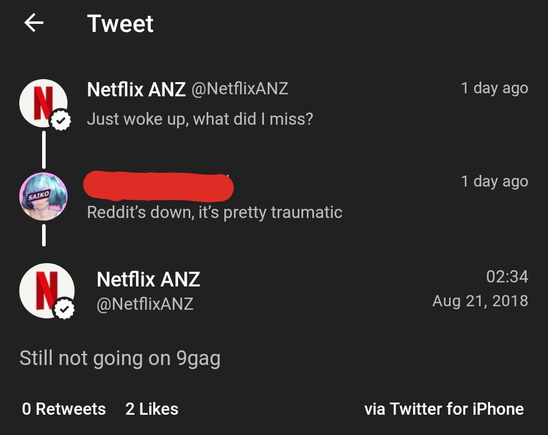 Even Netflix knows what's up | Scrolller