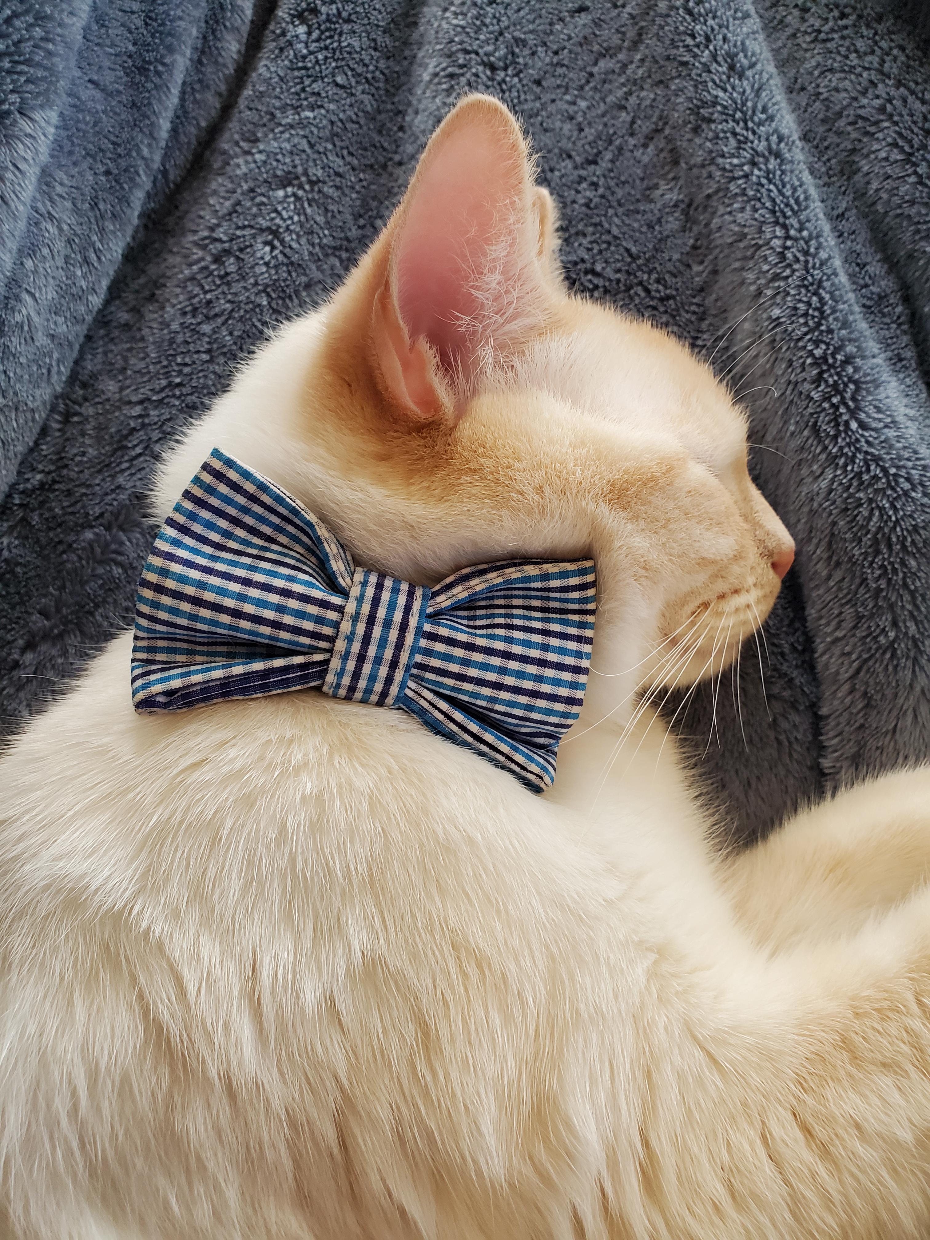 Even sleeping he's handsome | Scrolller