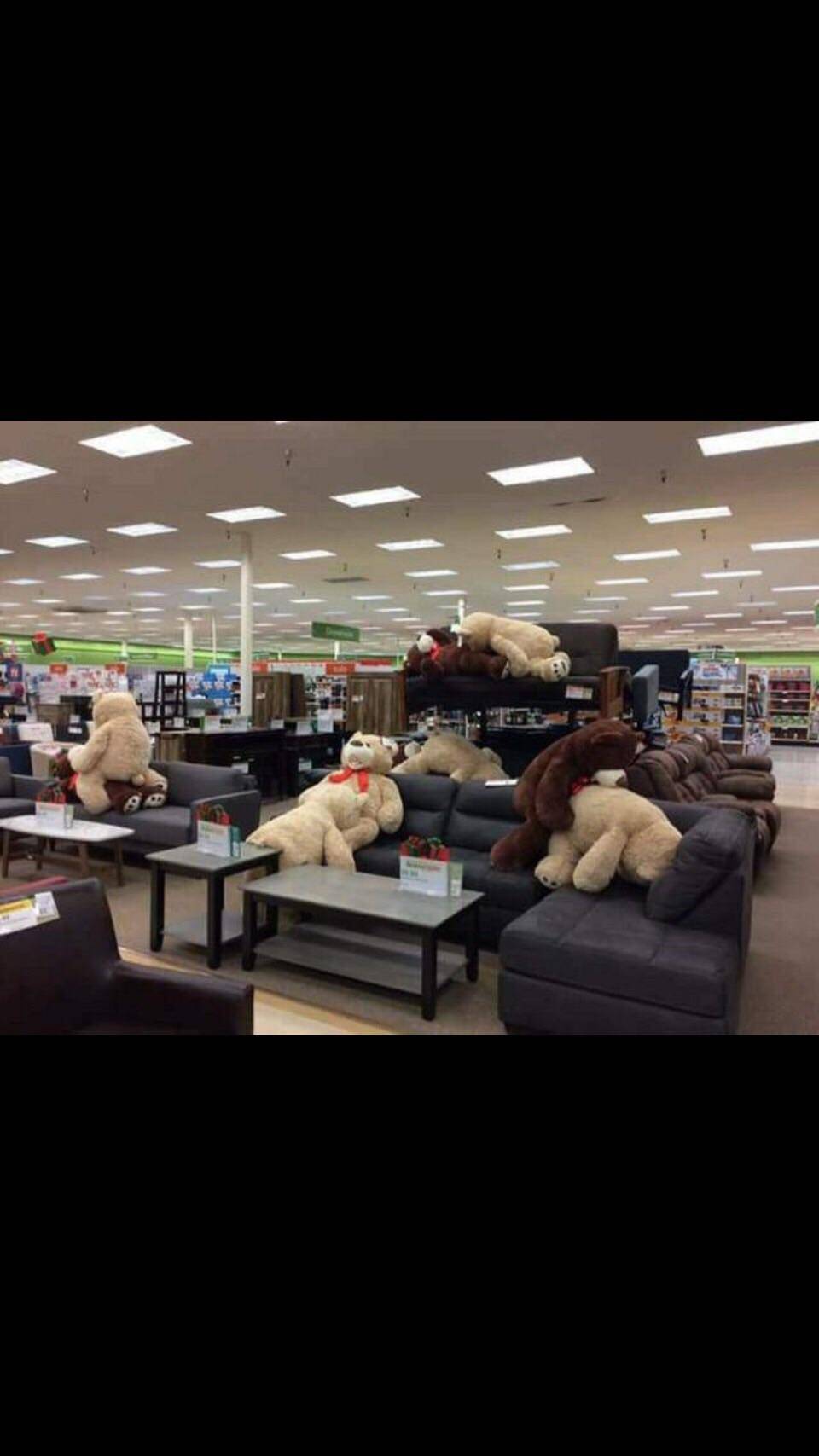 Even the bears gone wild | Scrolller