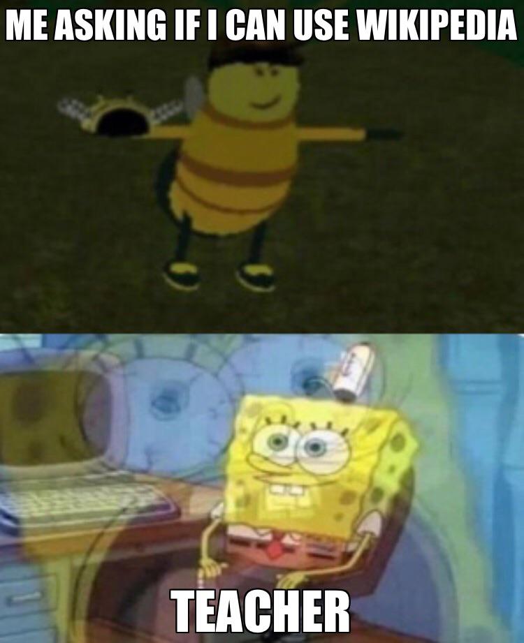 Every assignment | Scrolller