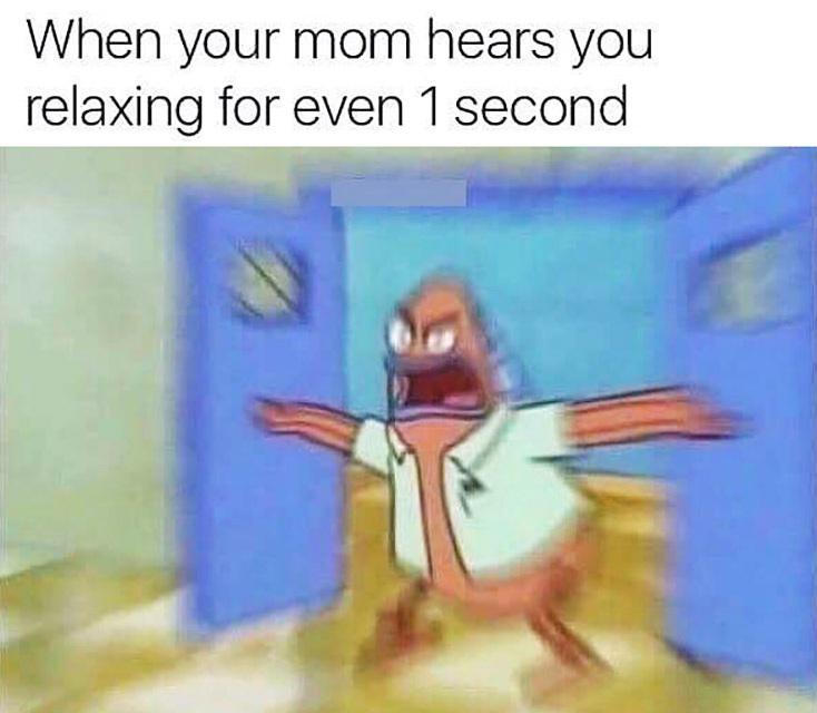 Every goddamn time | Scrolller