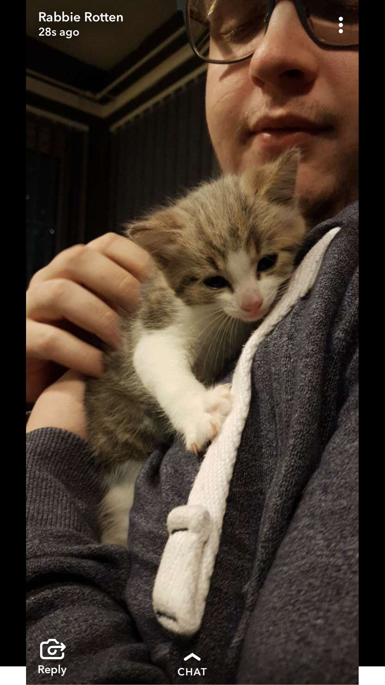 Everyone meet Stitch. | Scrolller